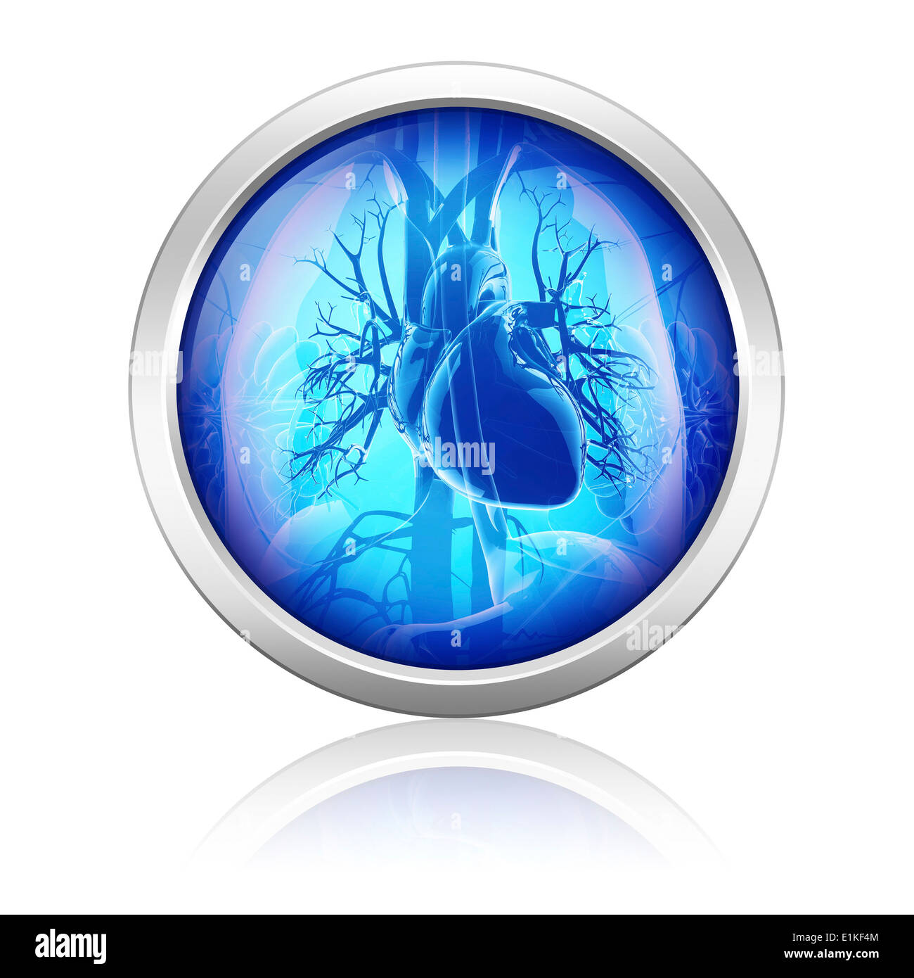 Human heart computer artwork hi-res stock photography and images - Alamy