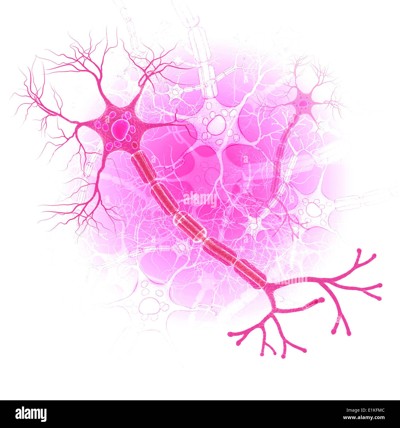 Human cell receptors hi-res stock photography and images - Alamy