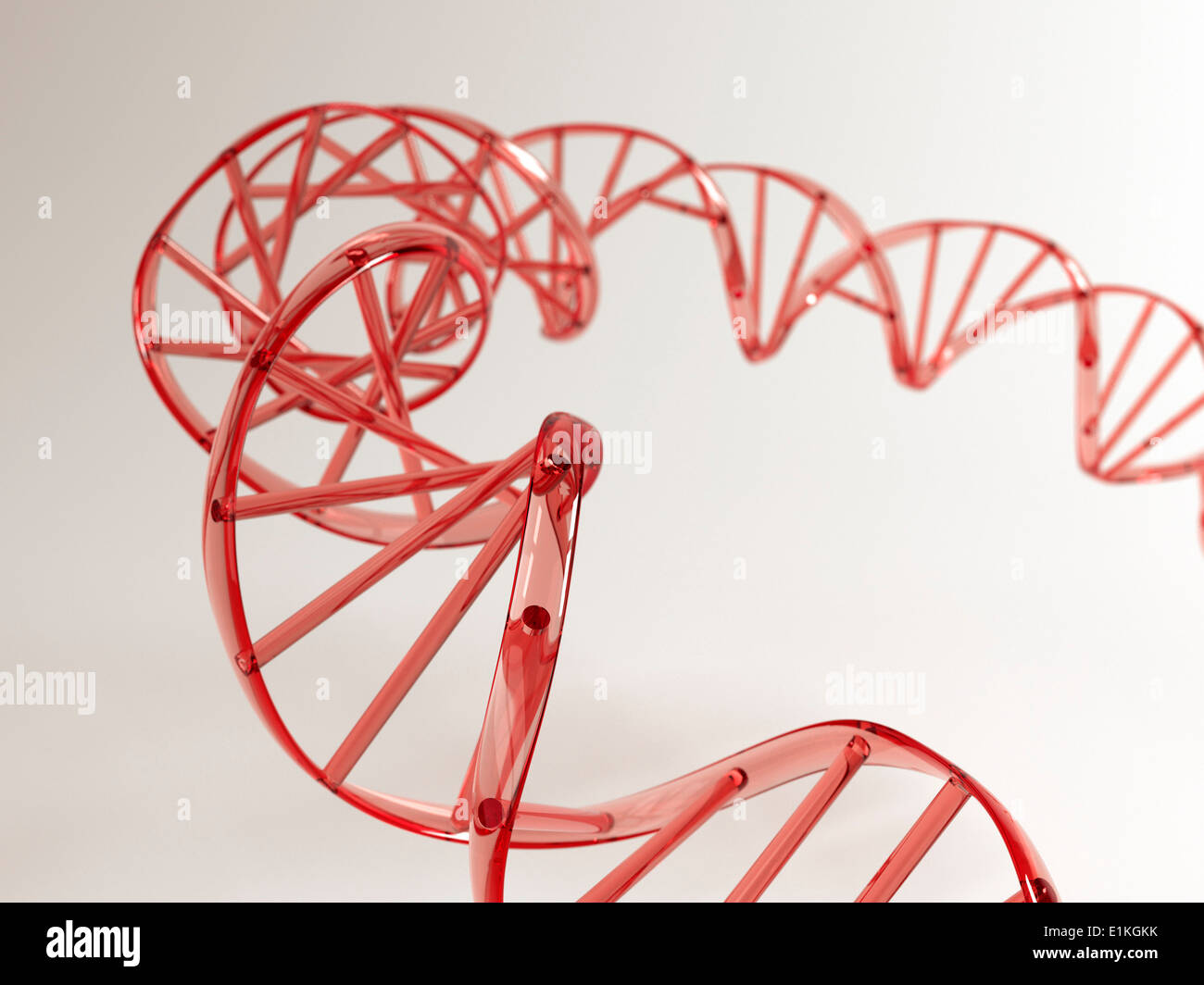 DNA molecule Computer artwork showing a double stranded DNA ...