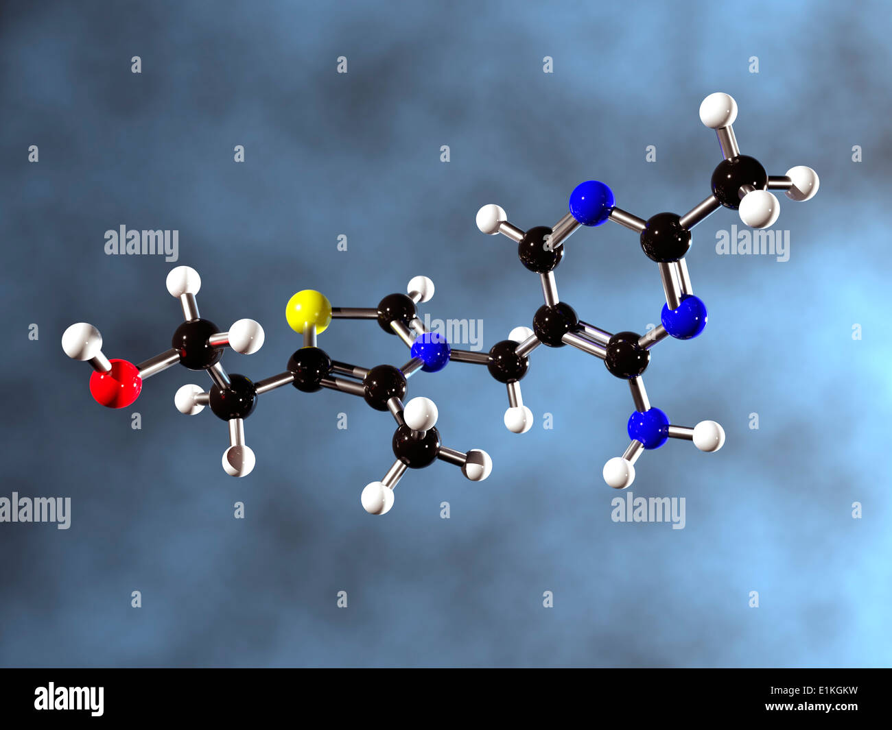 Vitamin B1 molecule Computer model showing the structure of a molecule ...