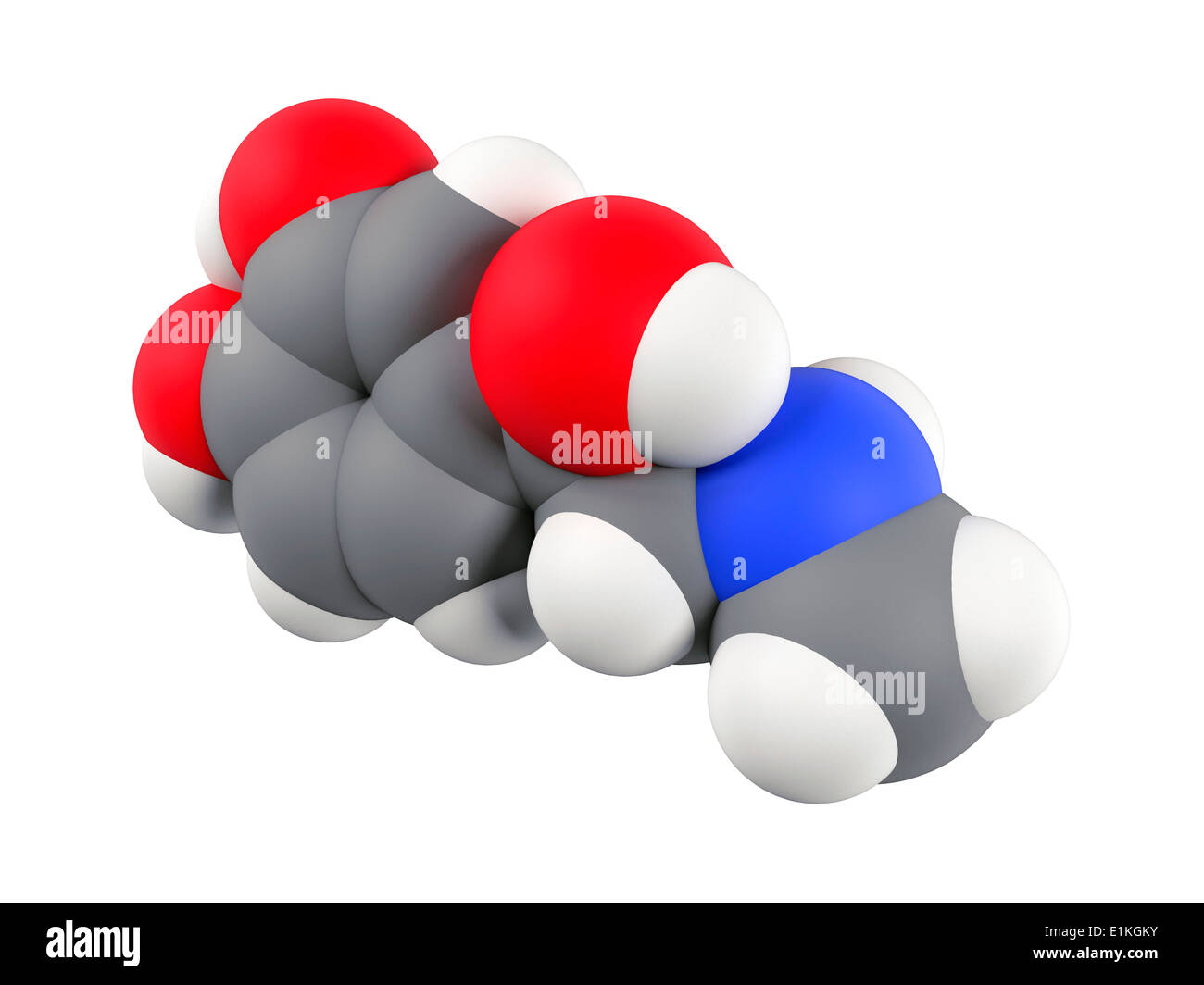 Adrenaline molecule hi-res stock photography and images - Alamy