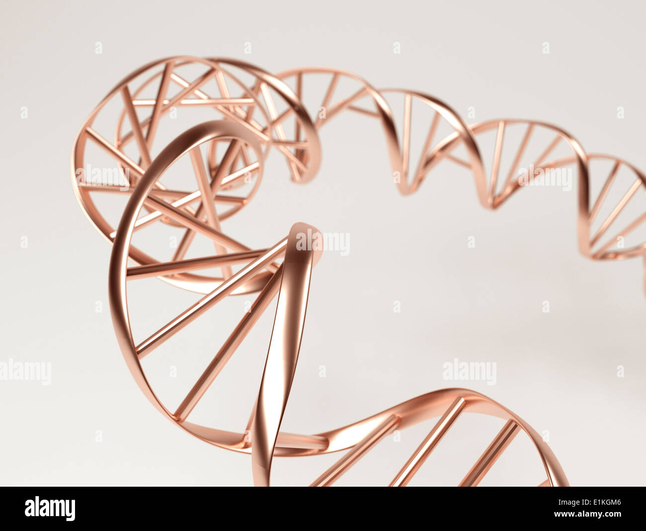 DNA molecule Computer artwork showing a double stranded DNA ...