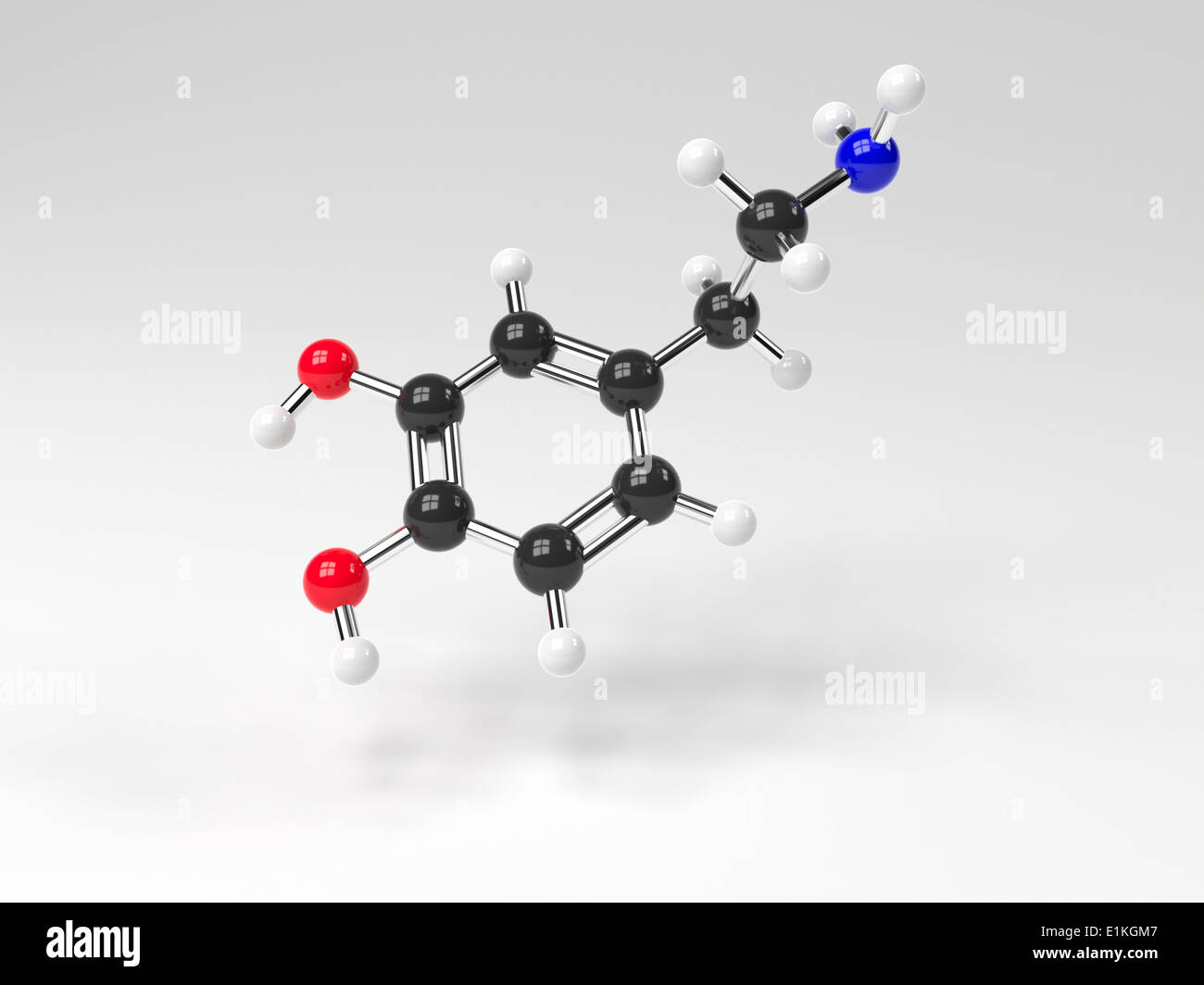 Dopamine neurotransmitter molecule Computer model showing the molecular ... Dopamine neurotransmitter molecule Computer model showing the molecular ...