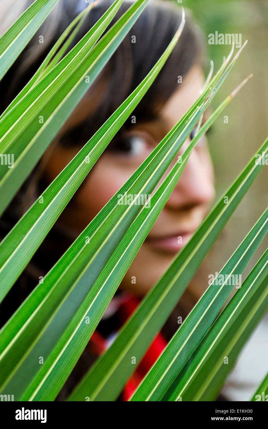 People palm hi-res stock photography and images - Alamy