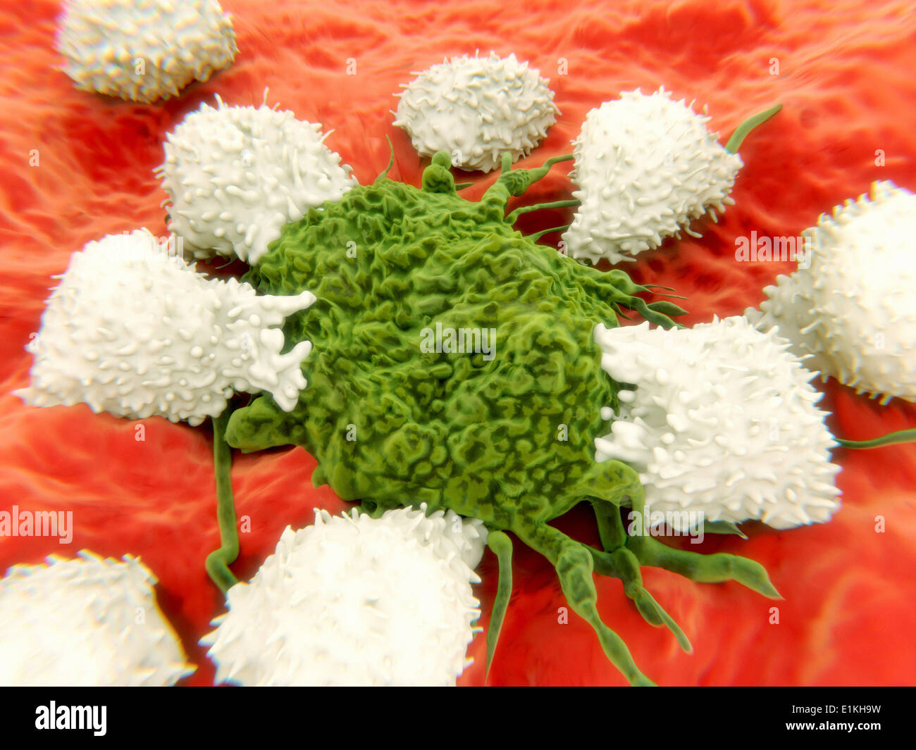 Biological lymphocytes cancer cell 3d hi-res stock photography and ...