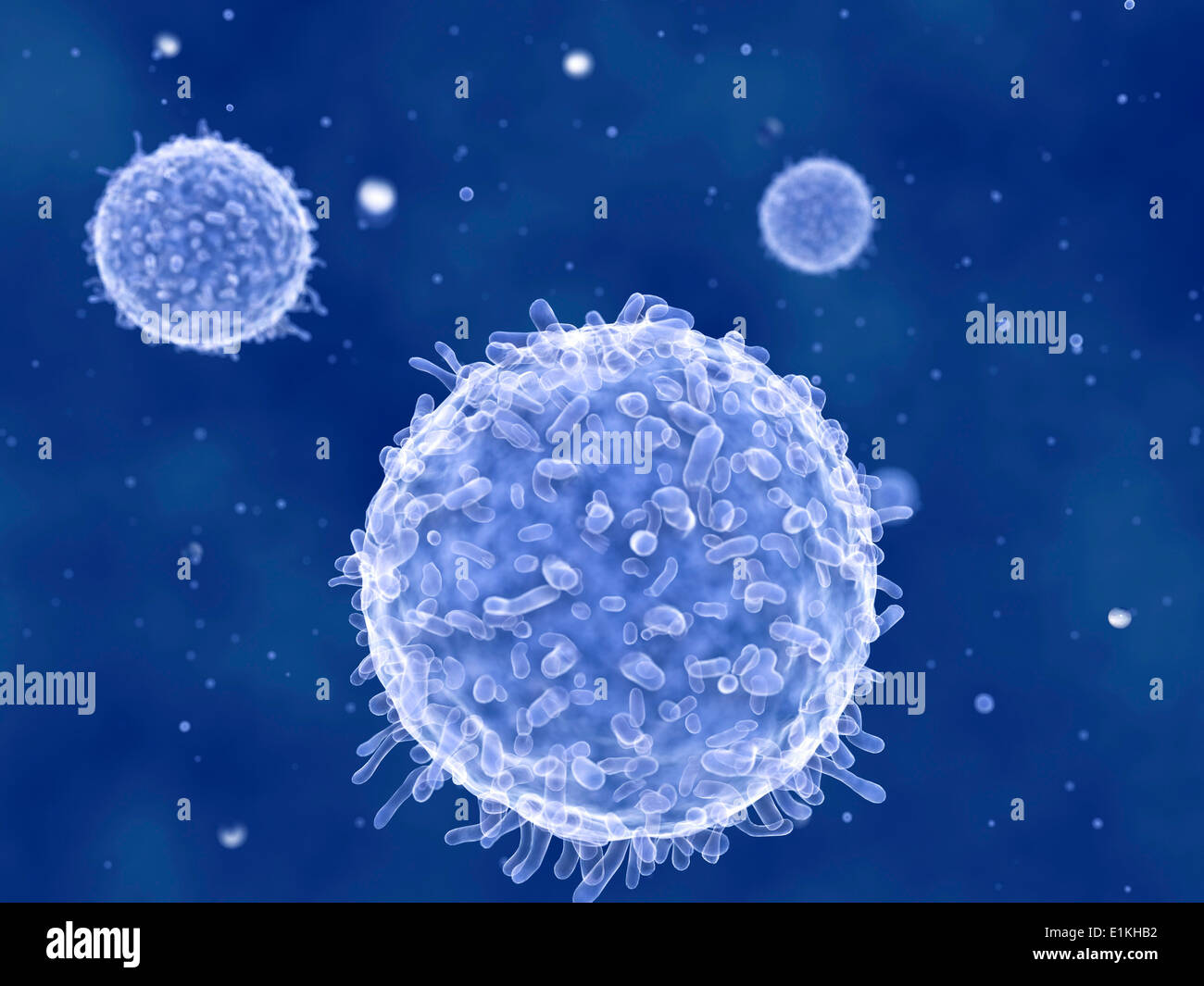 Artwork of lymphocytes Stock Photo - Alamy
