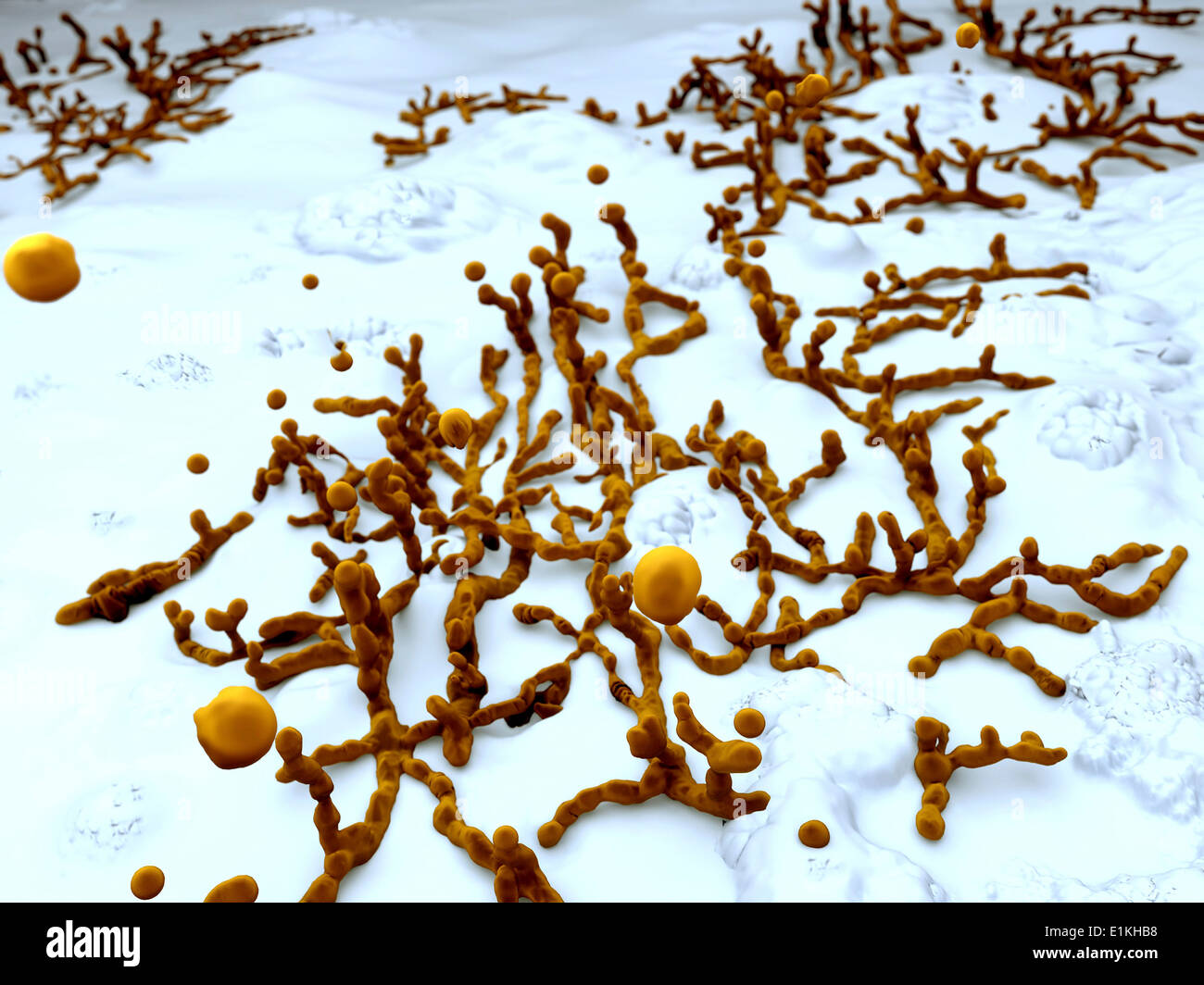 Artwork of mold growing on wallpaper Stock Photo - Alamy