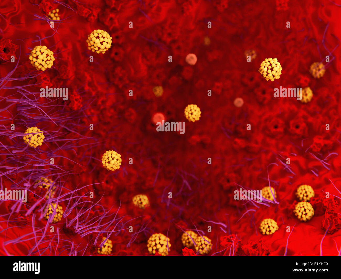 Acute respiratory viral disease hi-res stock photography and images - Alamy