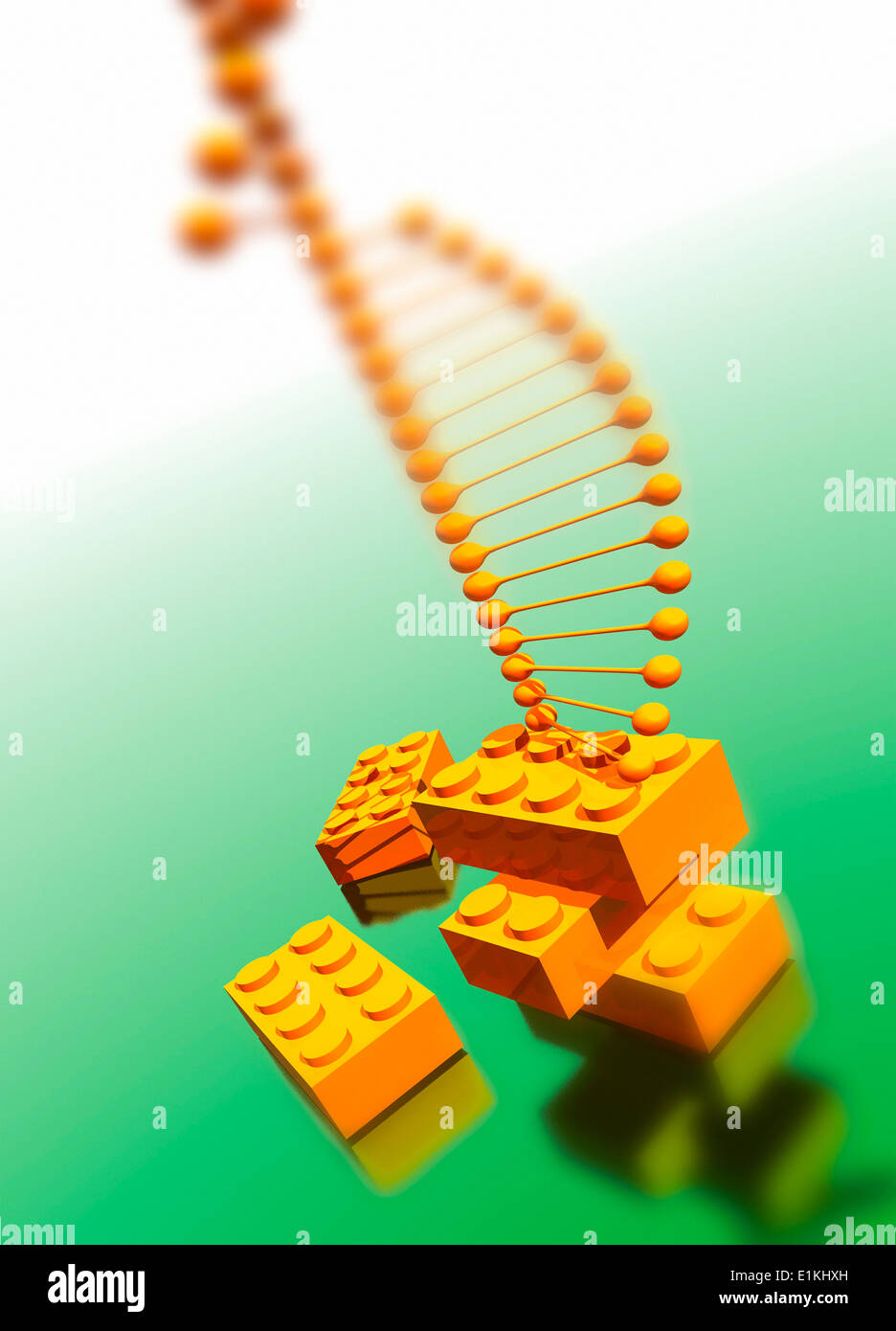 The building blocks of dna hi-res stock photography and images - Alamy