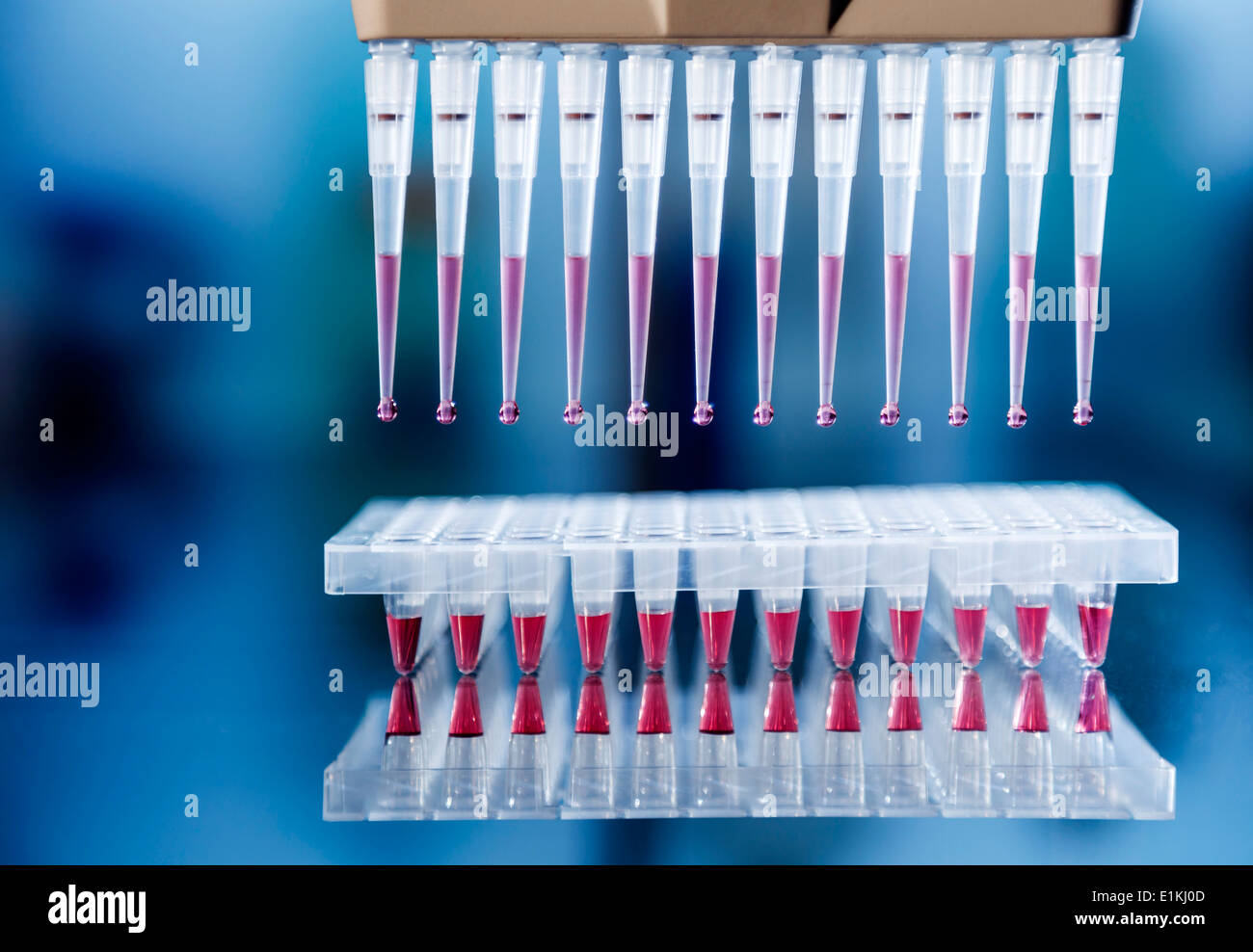 Phial of blood hi-res stock photography and images - Alamy