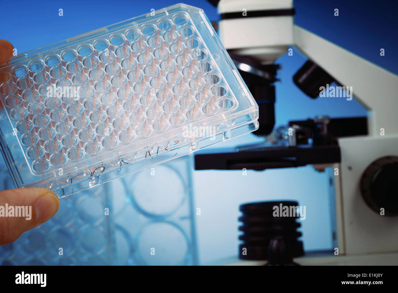 Genetic experimentation hi-res stock photography and images - Alamy
