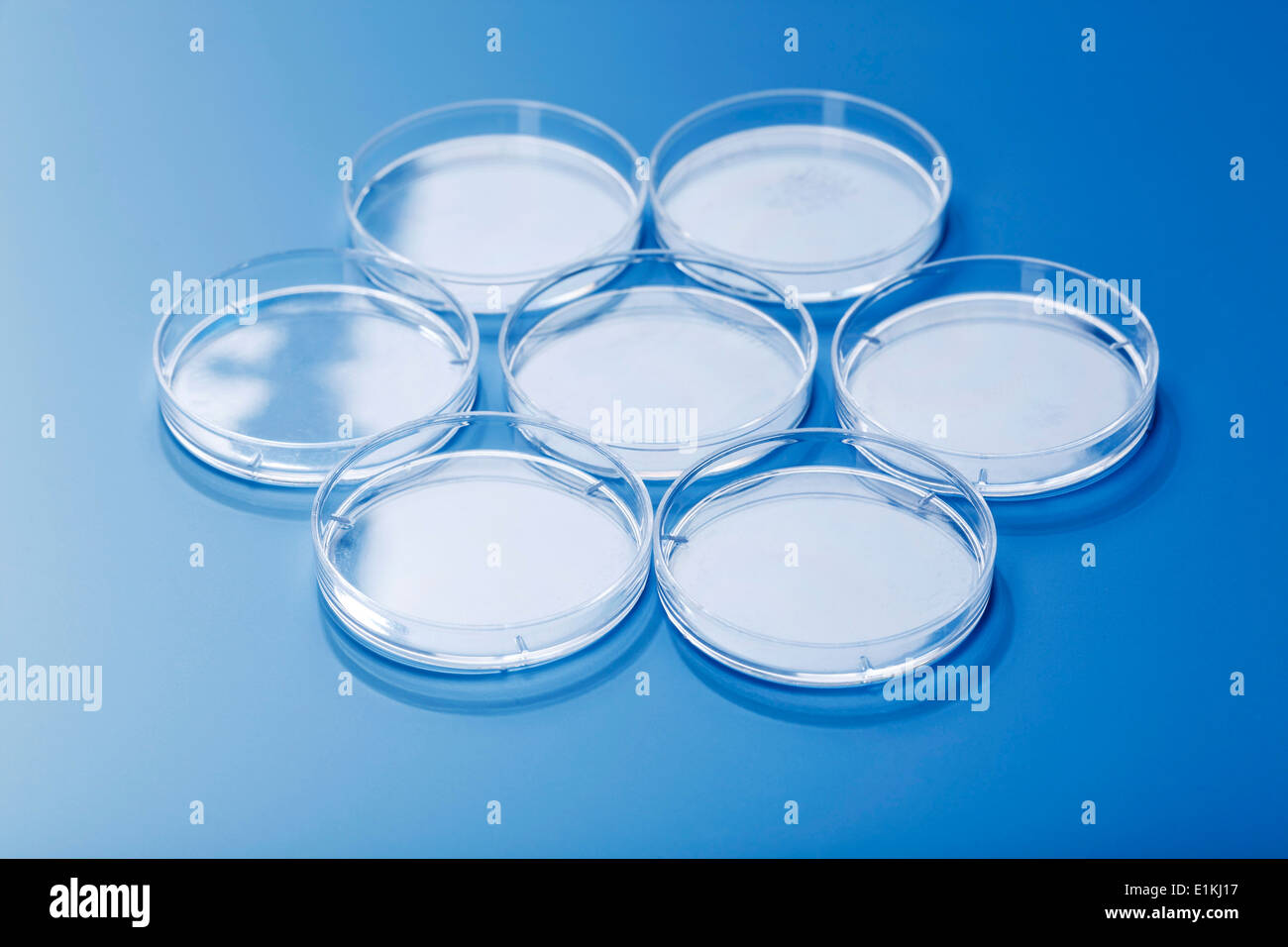 Uses Of Petri Dish In Laboratory Apparatus at Kenneth Hyde blog