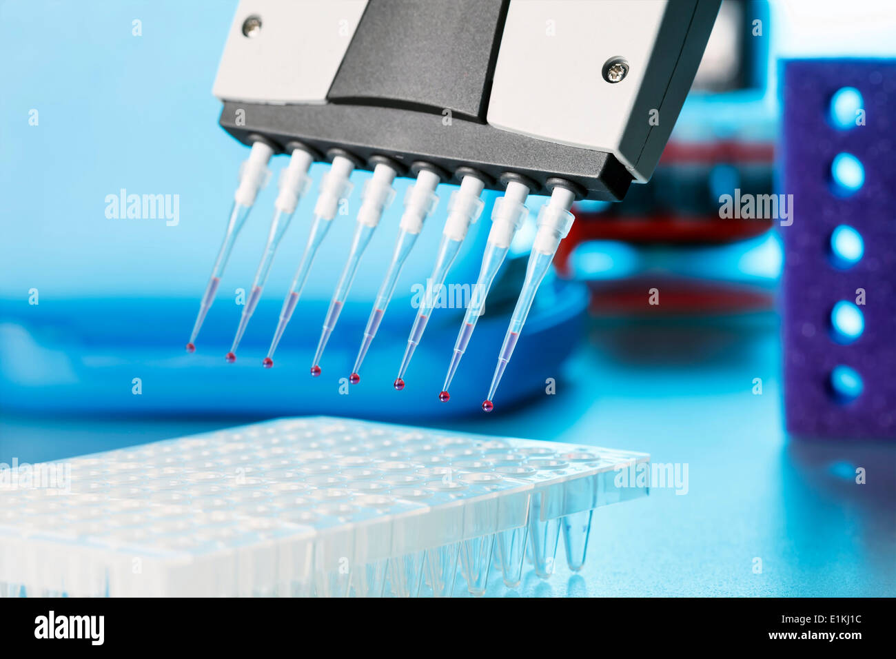 Multi pipette dripping blood samples hi-res stock photography and ...
