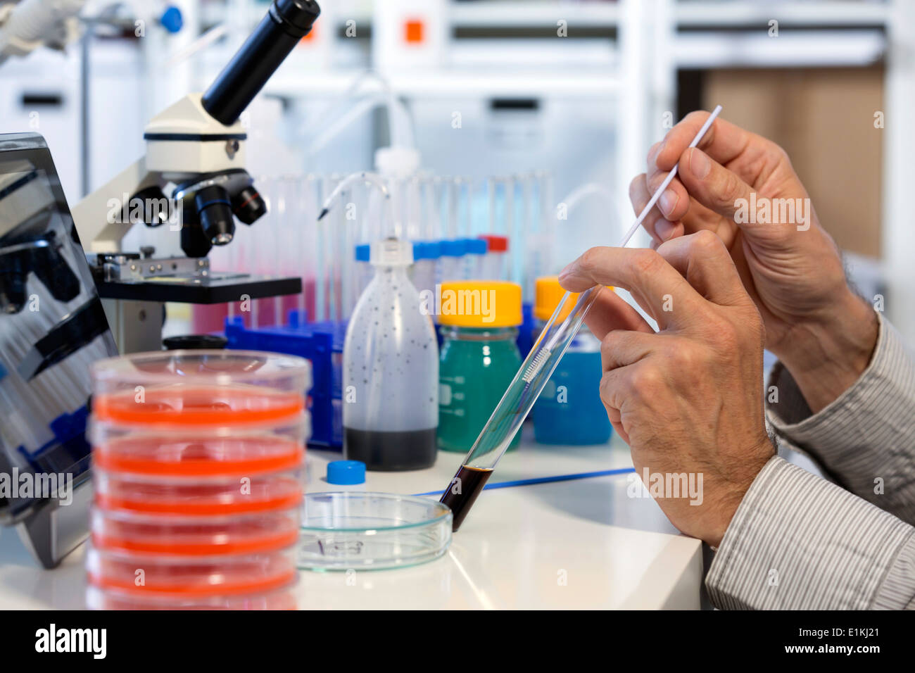 Scientist analysing samples hi-res stock photography and images - Alamy