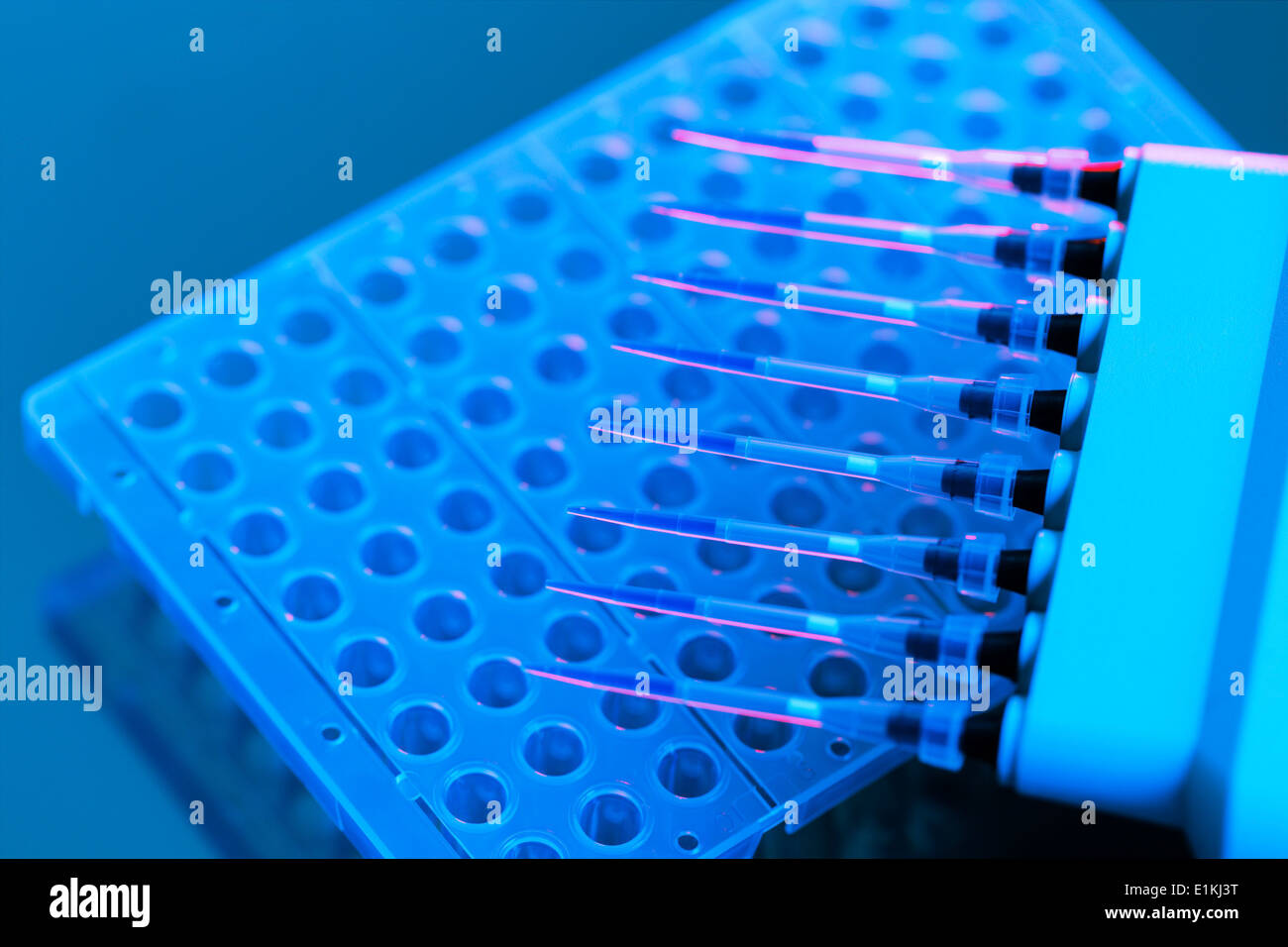 Micropipettes close up Stock Photo - Alamy