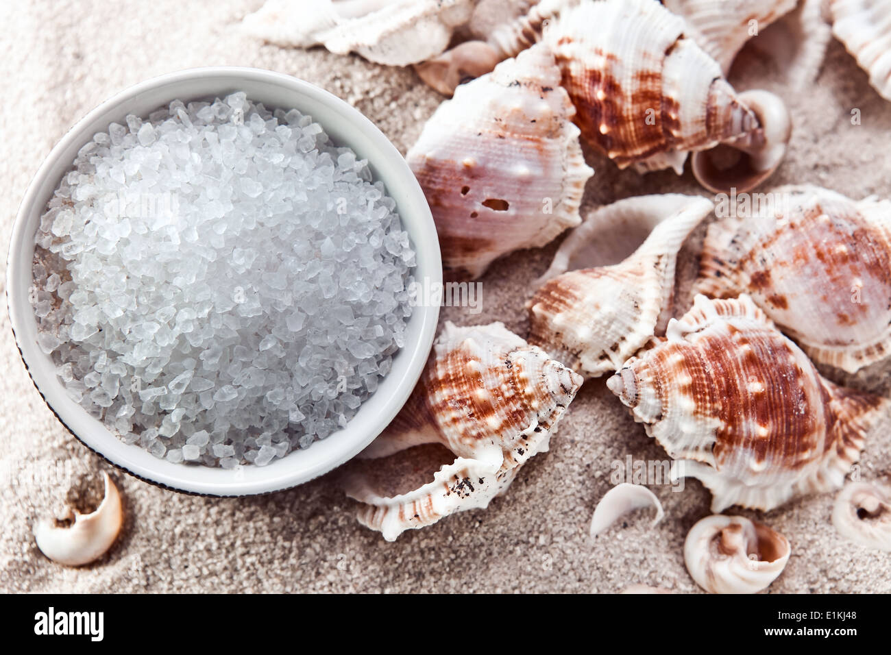Sea salt and shells on sea sand Stock Photo - Alamy