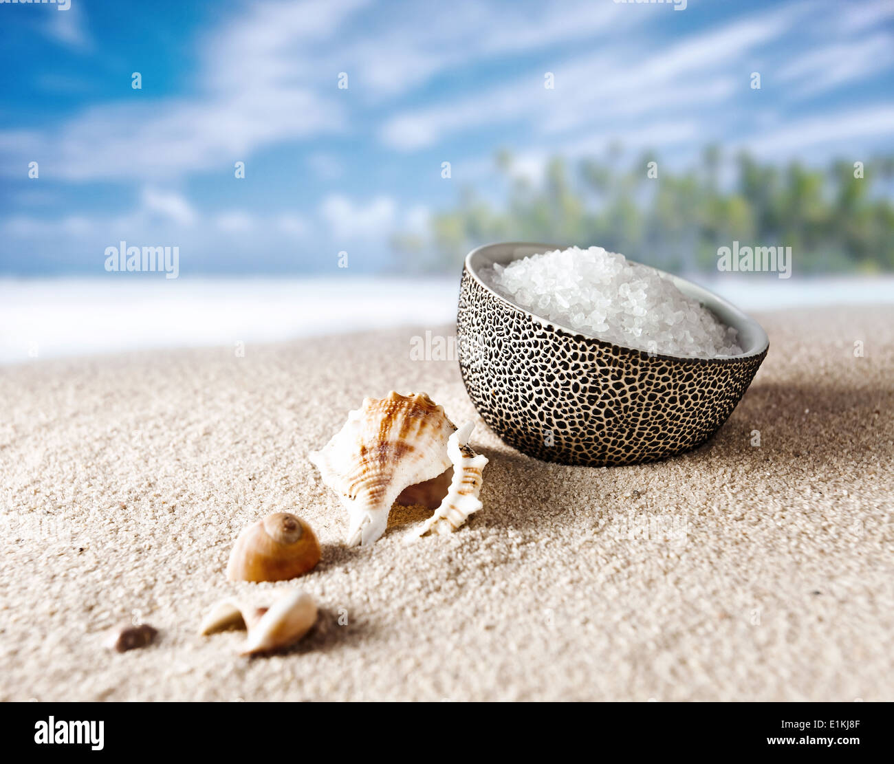 Sea salt and shells on a beach Stock Photo - Alamy
