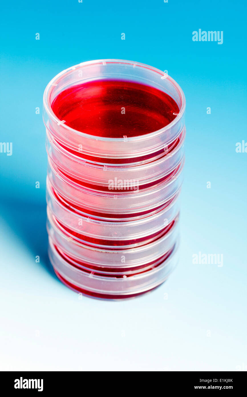 Stack of petri dishes close up Stock Photo - Alamy
