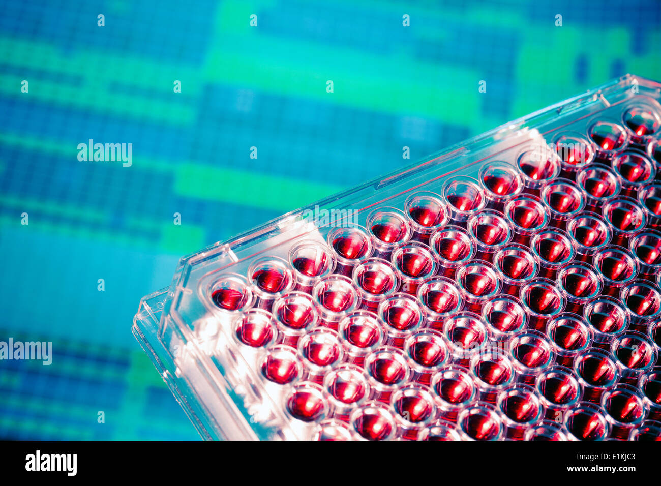 Genetic samples close up Stock Photo - Alamy
