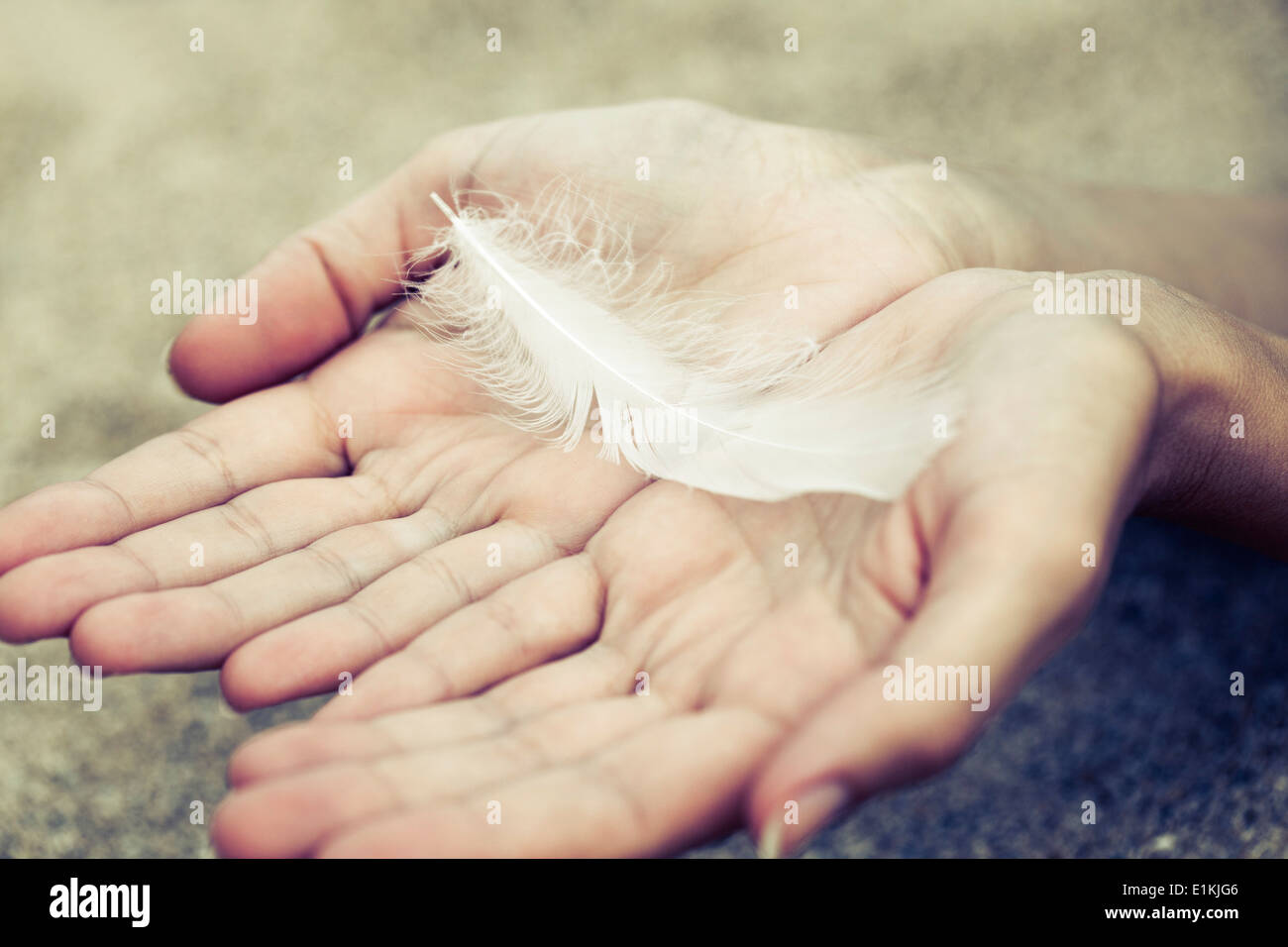 Hands holding a white feather Stock Photo - Alamy