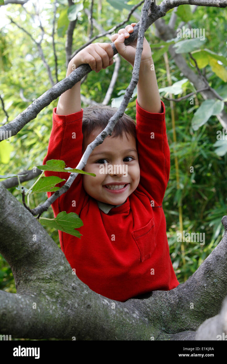 Boy in tree Stock Photo - Alamy