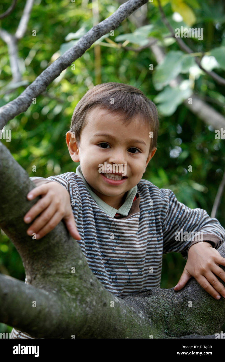 Boy in tree Stock Photo - Alamy