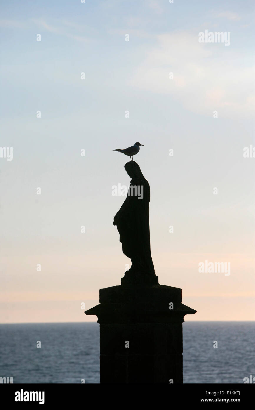 Sea gull on a statue of the Virgin Mary Stock Photo - Alamy