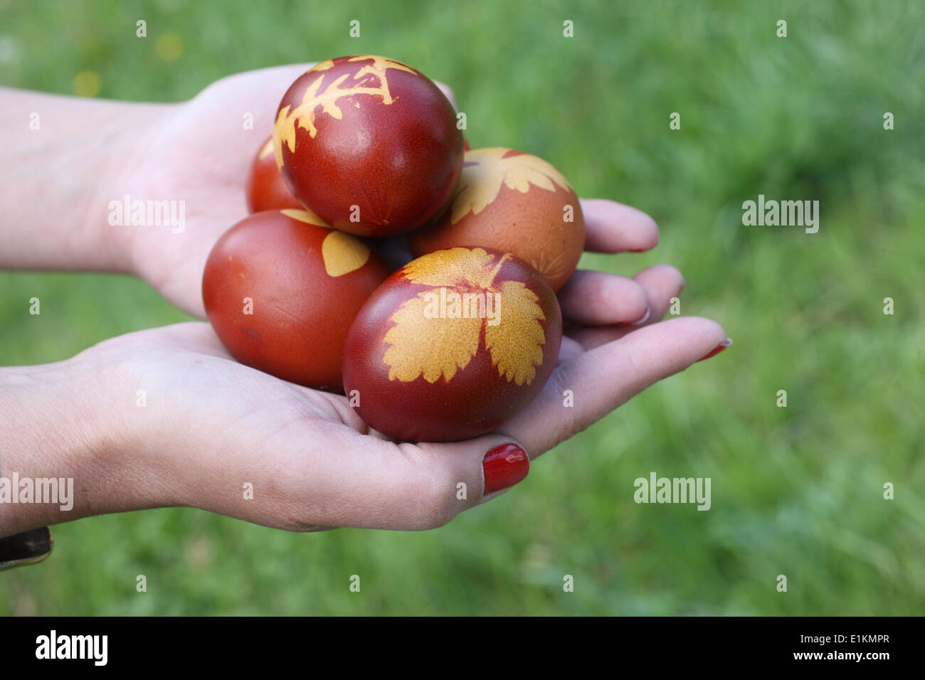 Easter eggs in hands Stock Photo - Alamy