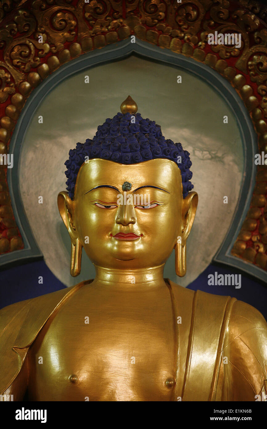 Buddha statue at Vajradhara-Ling temple Stock Photo - Alamy