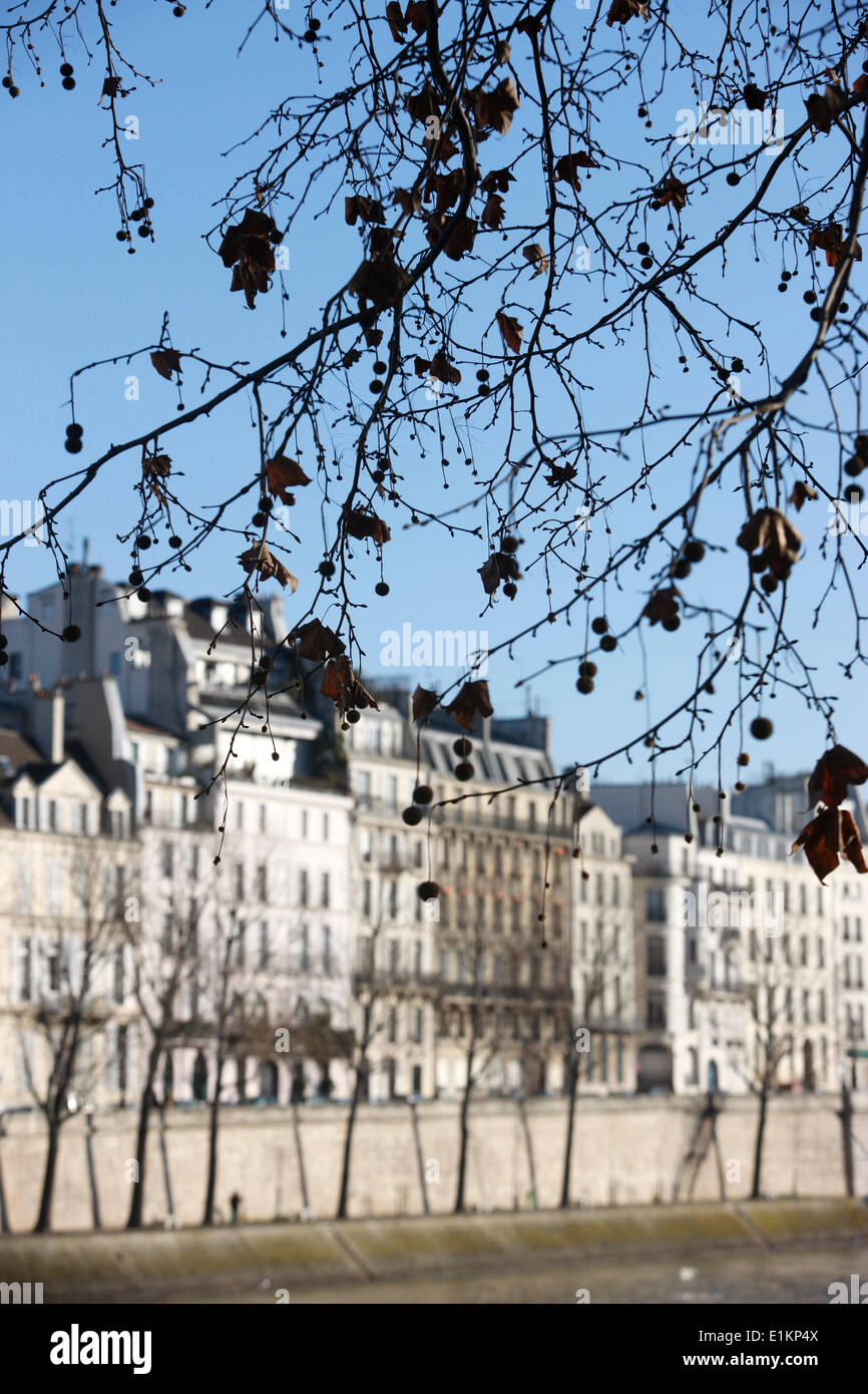 Ile de seine hi-res stock photography and images - Alamy