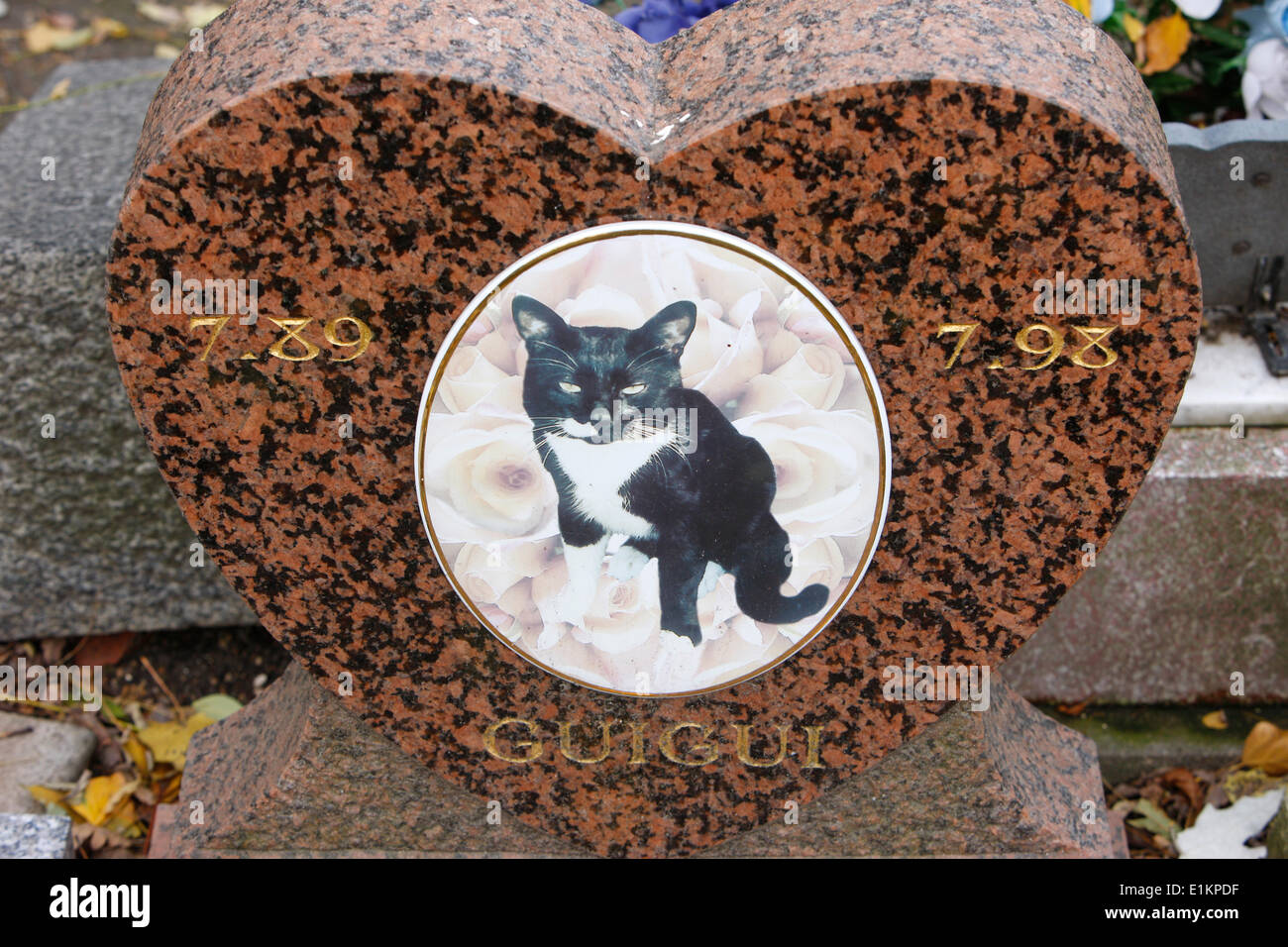 Animal graveyard hi-res stock photography and images - Alamy