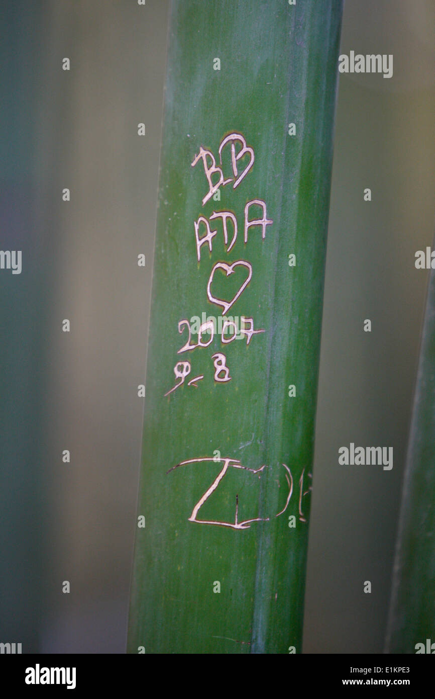 Bamboo carving hi-res stock photography and images - Alamy