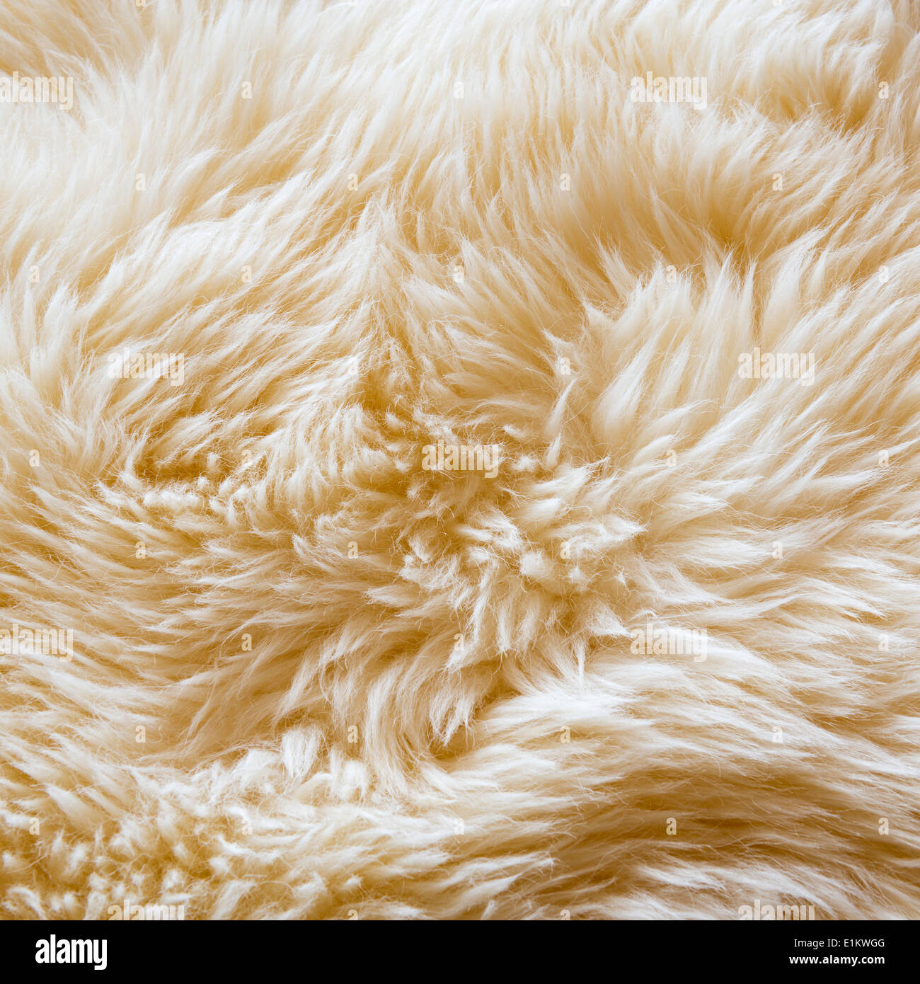 Skin sheep hi-res stock photography and images - Alamy