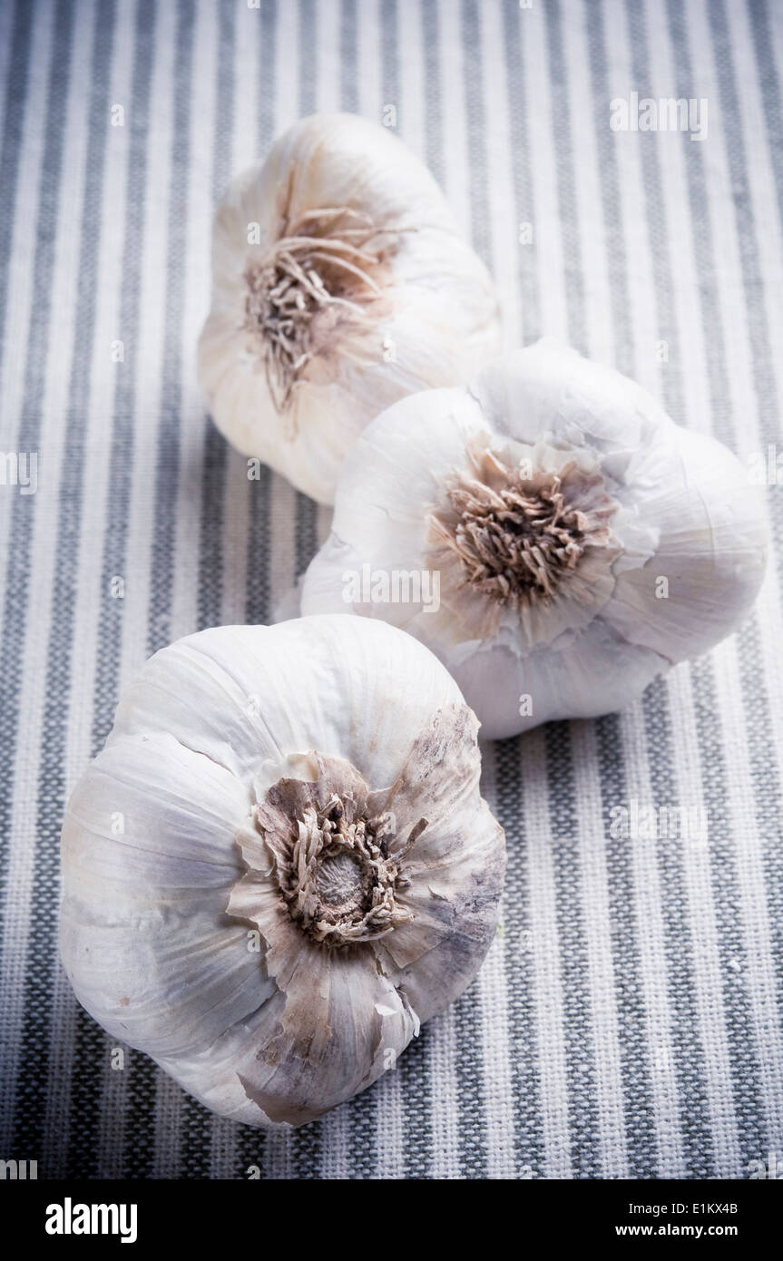 three garlic bulbs Stock Photo - Alamy