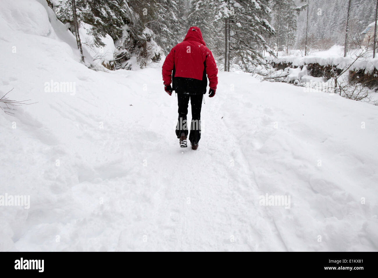 Man walking on snow Stock Photo - Alamy