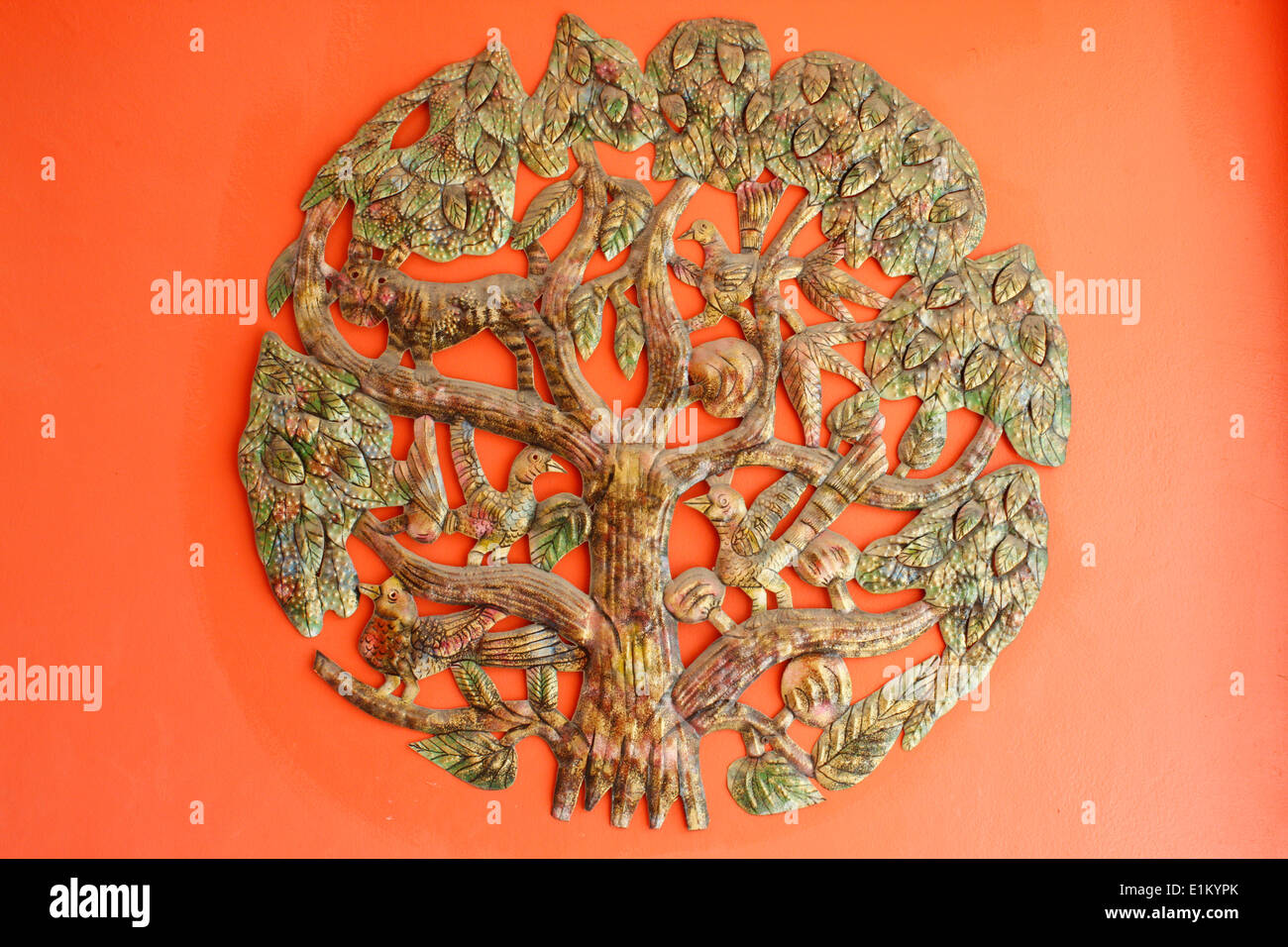 Tree of life hi-res stock photography and images - Alamy