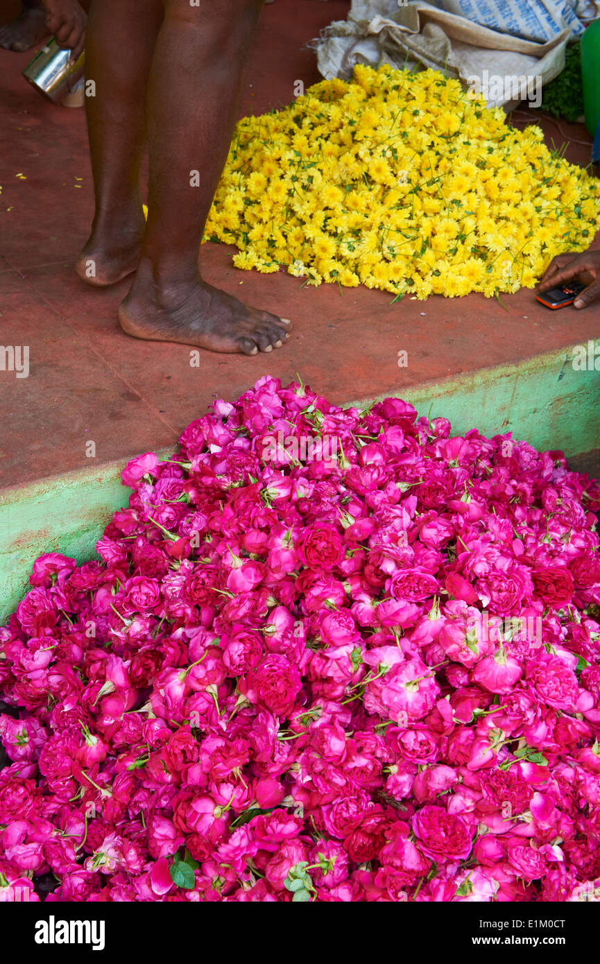 Madurai High Resolution Stock Photography and Images - Alamy