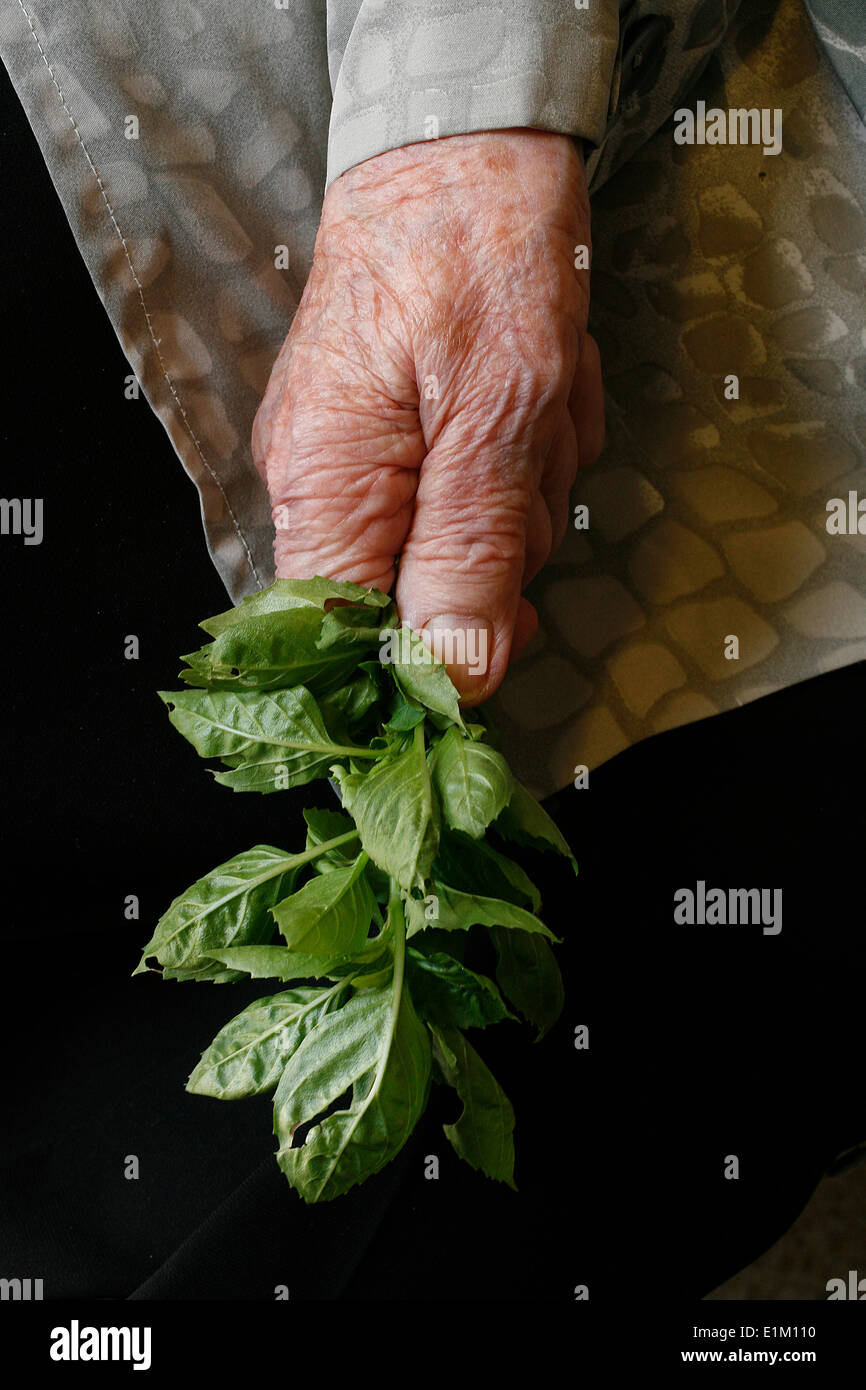 Melkite feast of the cross Stock Photo - Alamy