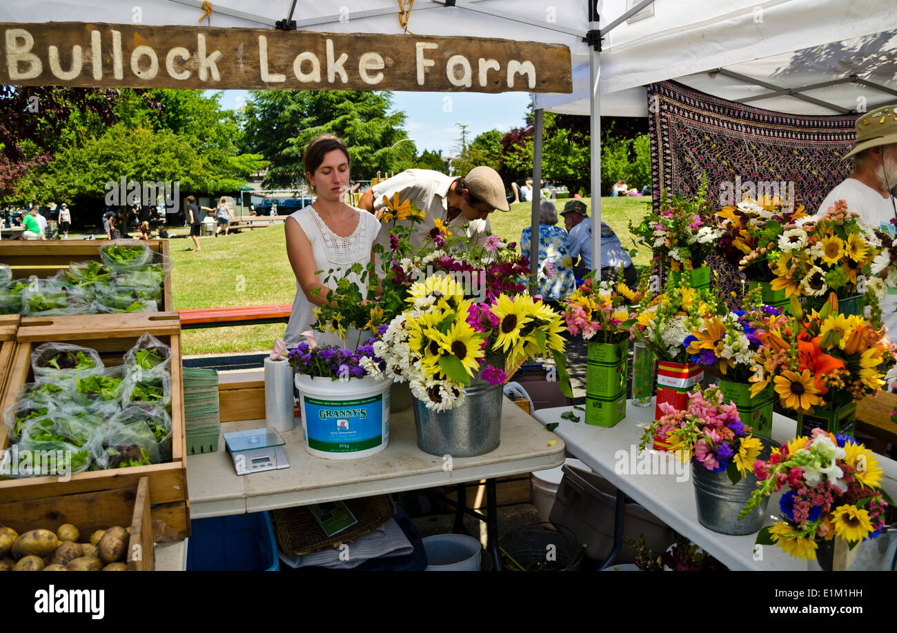 Salt spring island hi-res stock photography and images - Alamy