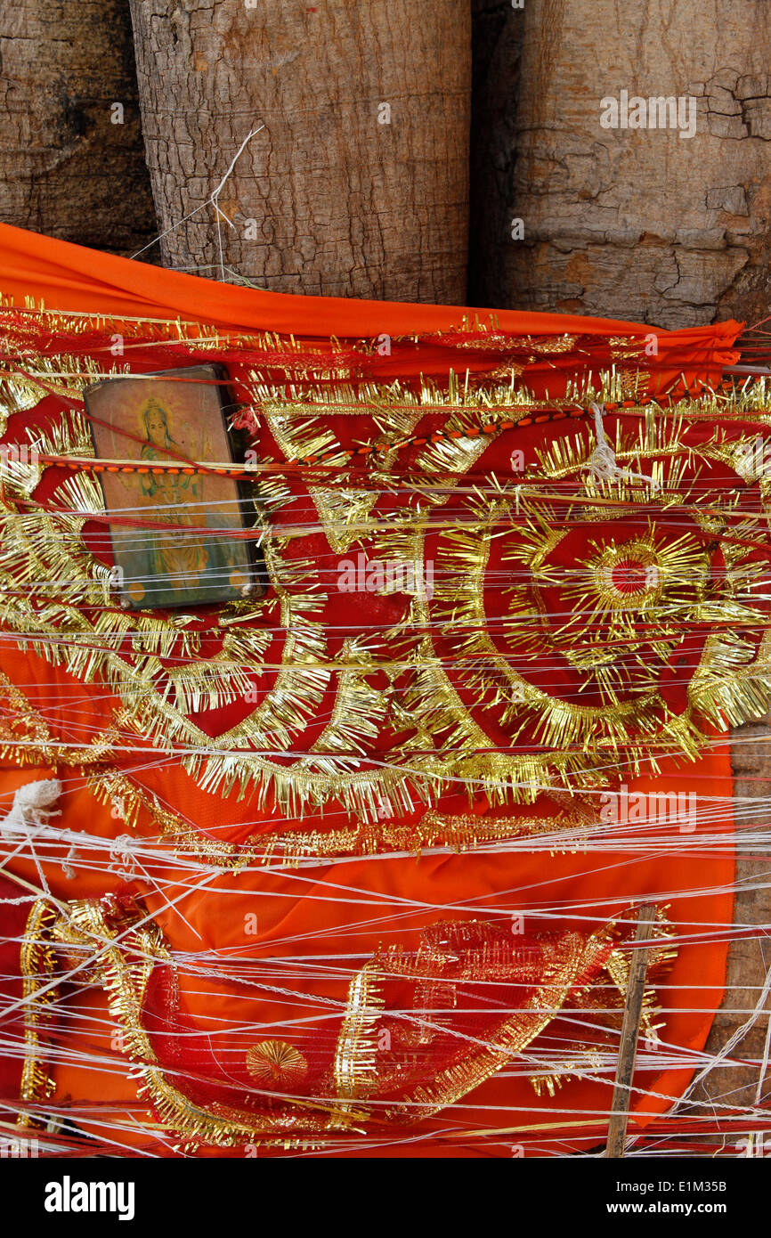 Sacred tree india hi-res stock photography and images - Alamy