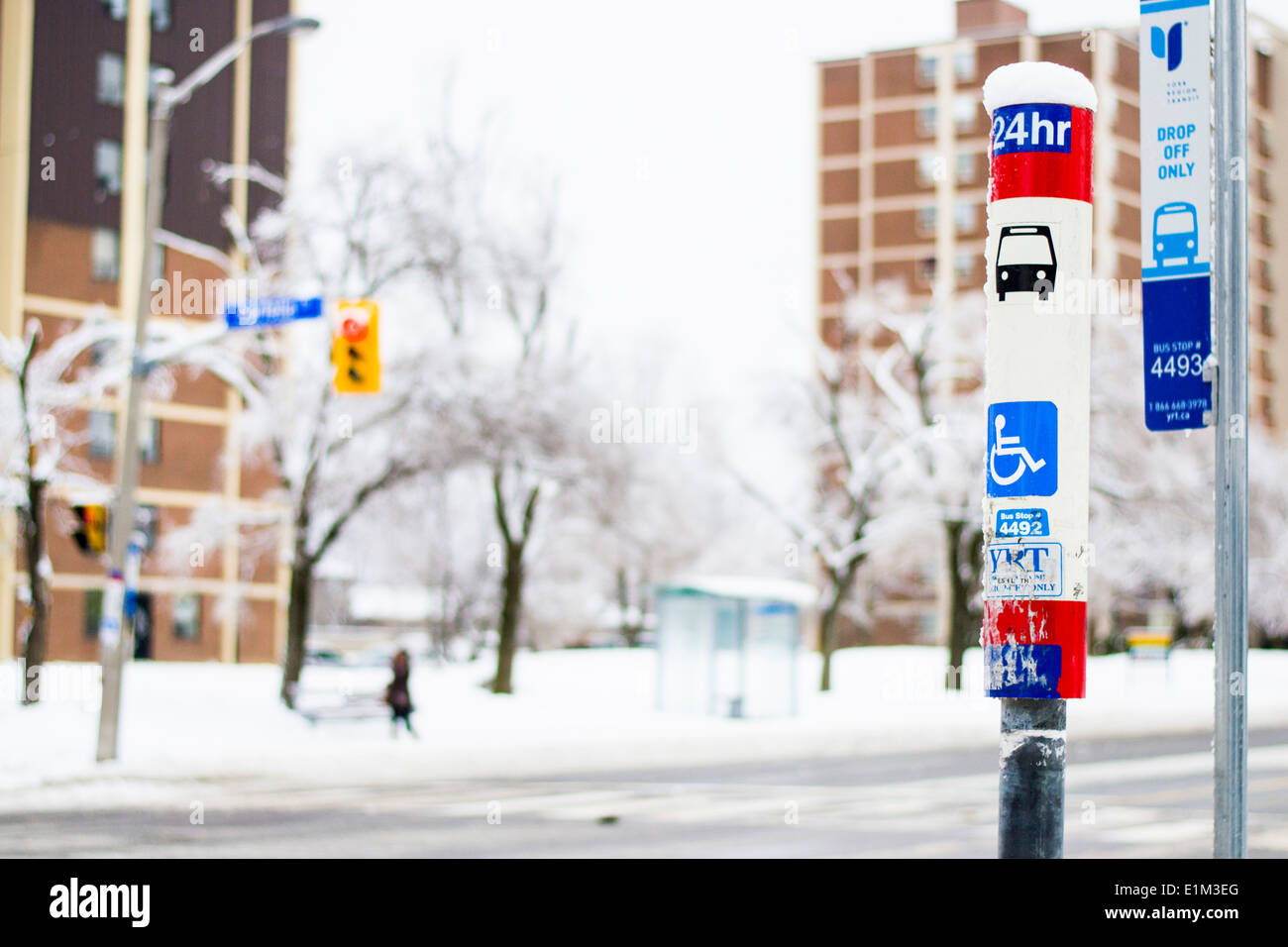 TTC bus stop Stock Photo - Alamy