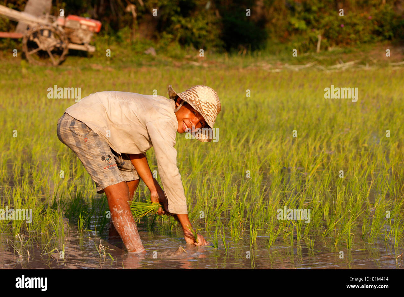 Young Boy Planting Rice in Cambodia Stock Photo - Alamy