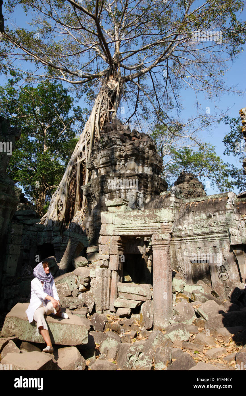 Strangler fig trees and creeping lichens devour ruins at Ta Prohm Stock ...