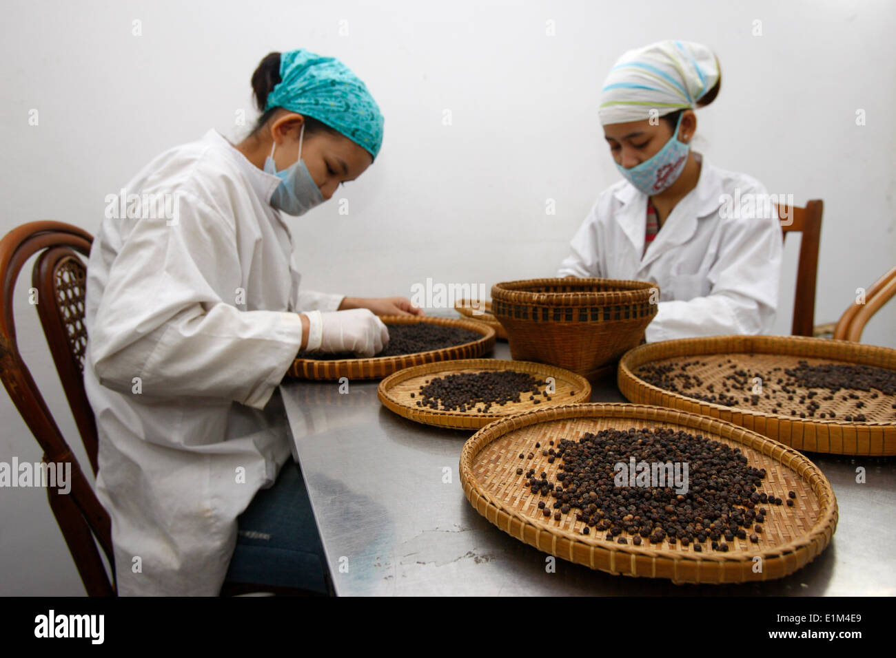 Workers in a pepper factory. Phnom Penh Stock Photo - Alamy