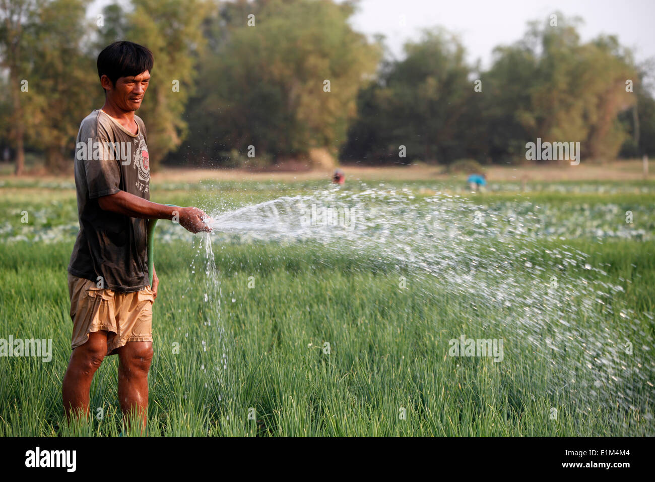 Watering crops hi-res stock photography and images - Alamy
