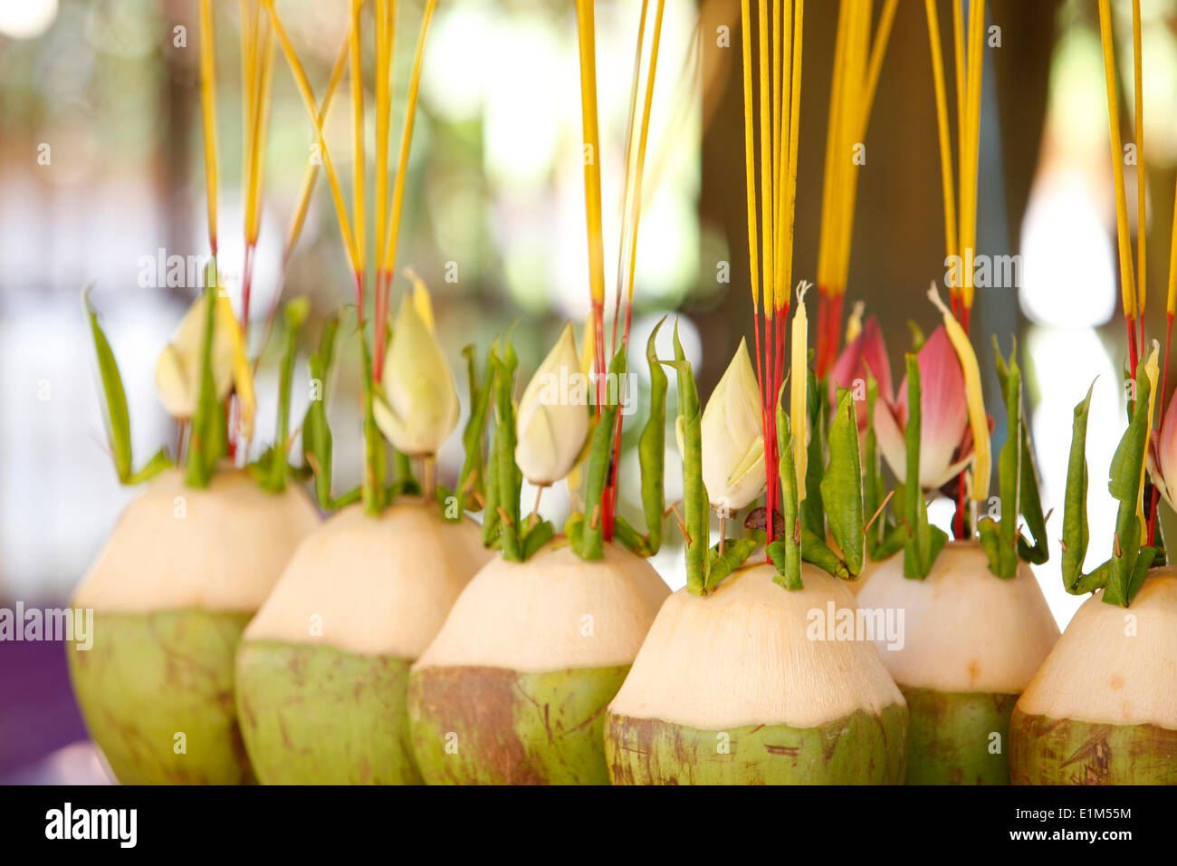 Coconut religion hi-res stock photography and images - Alamy