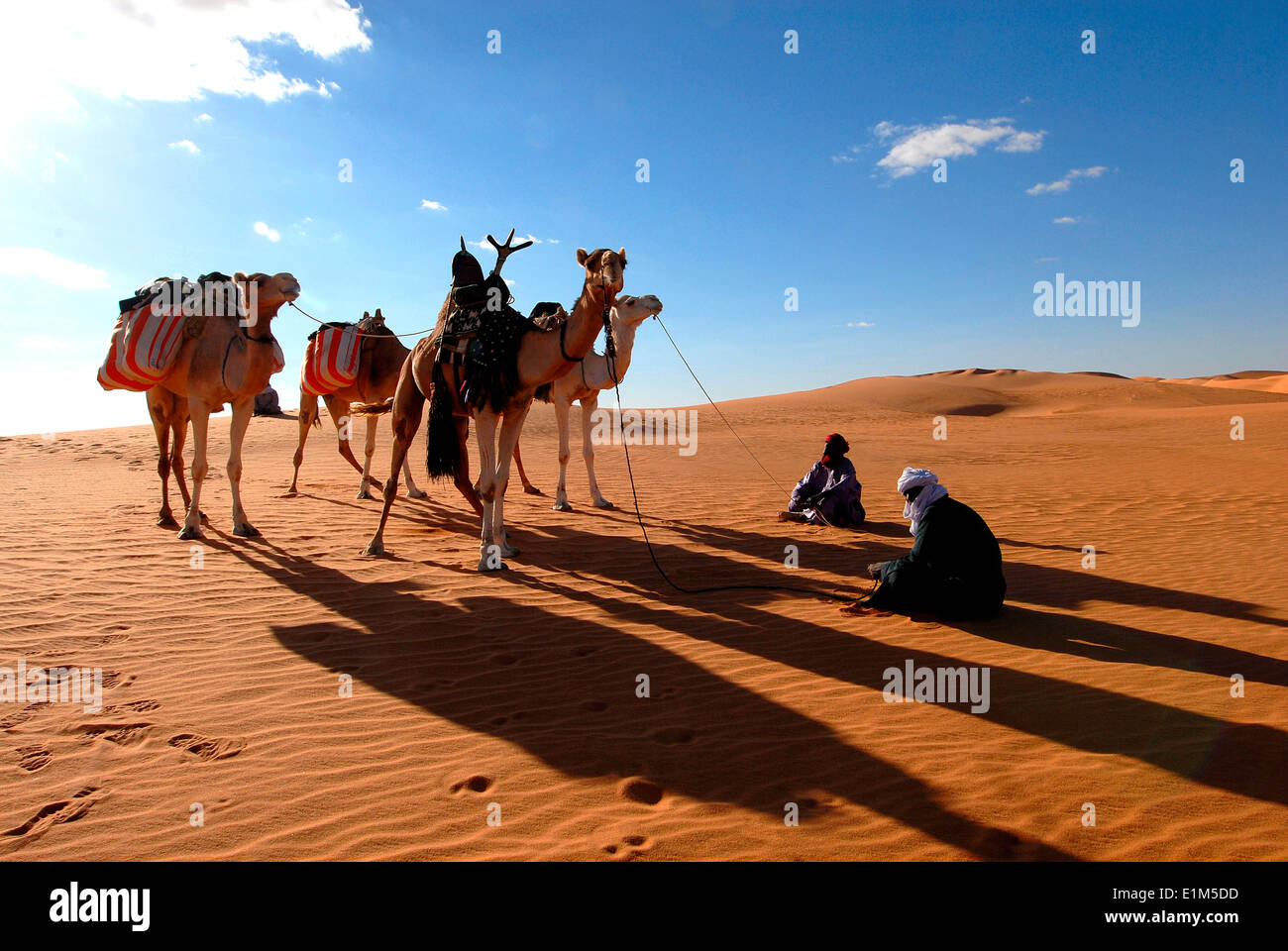 Tuaregs camel hi-res stock photography and images - Alamy