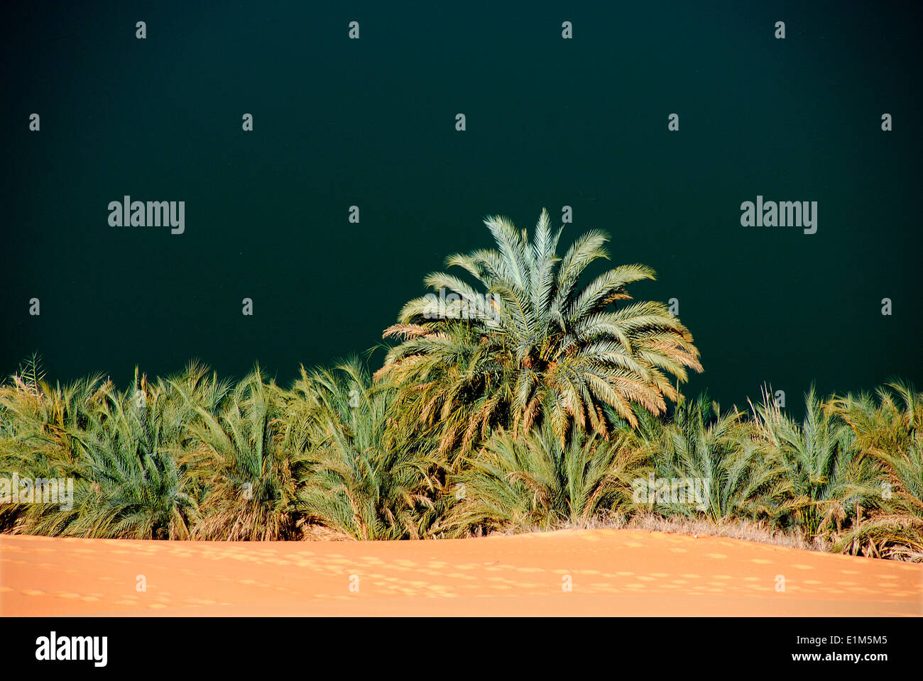 Gabraoun oasis in Erg Ubari desert Stock Photo - Alamy
