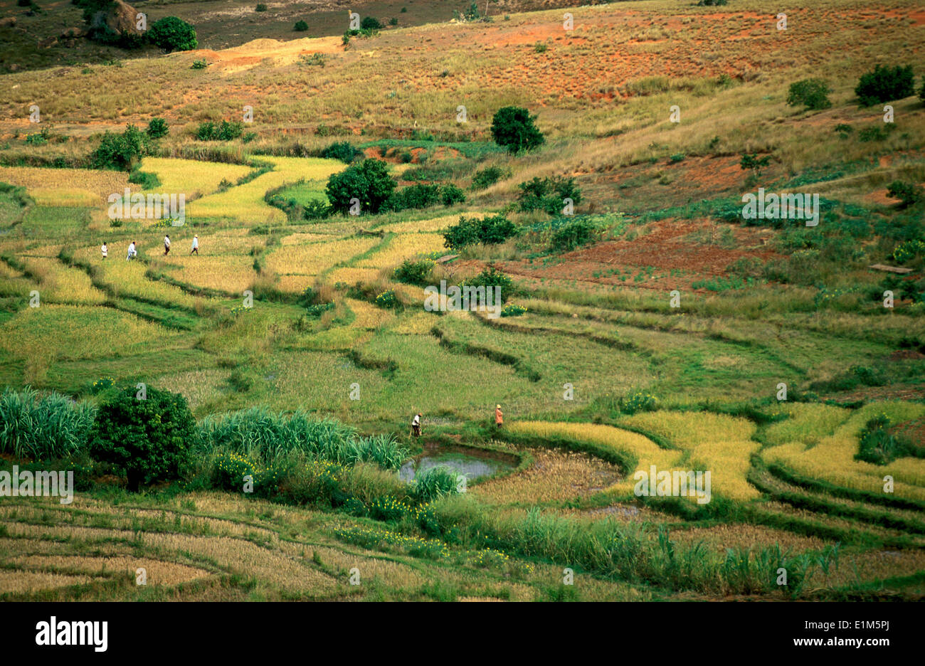 Ambalavao landscape in Southern Madagascar Stock Photo - Alamy
