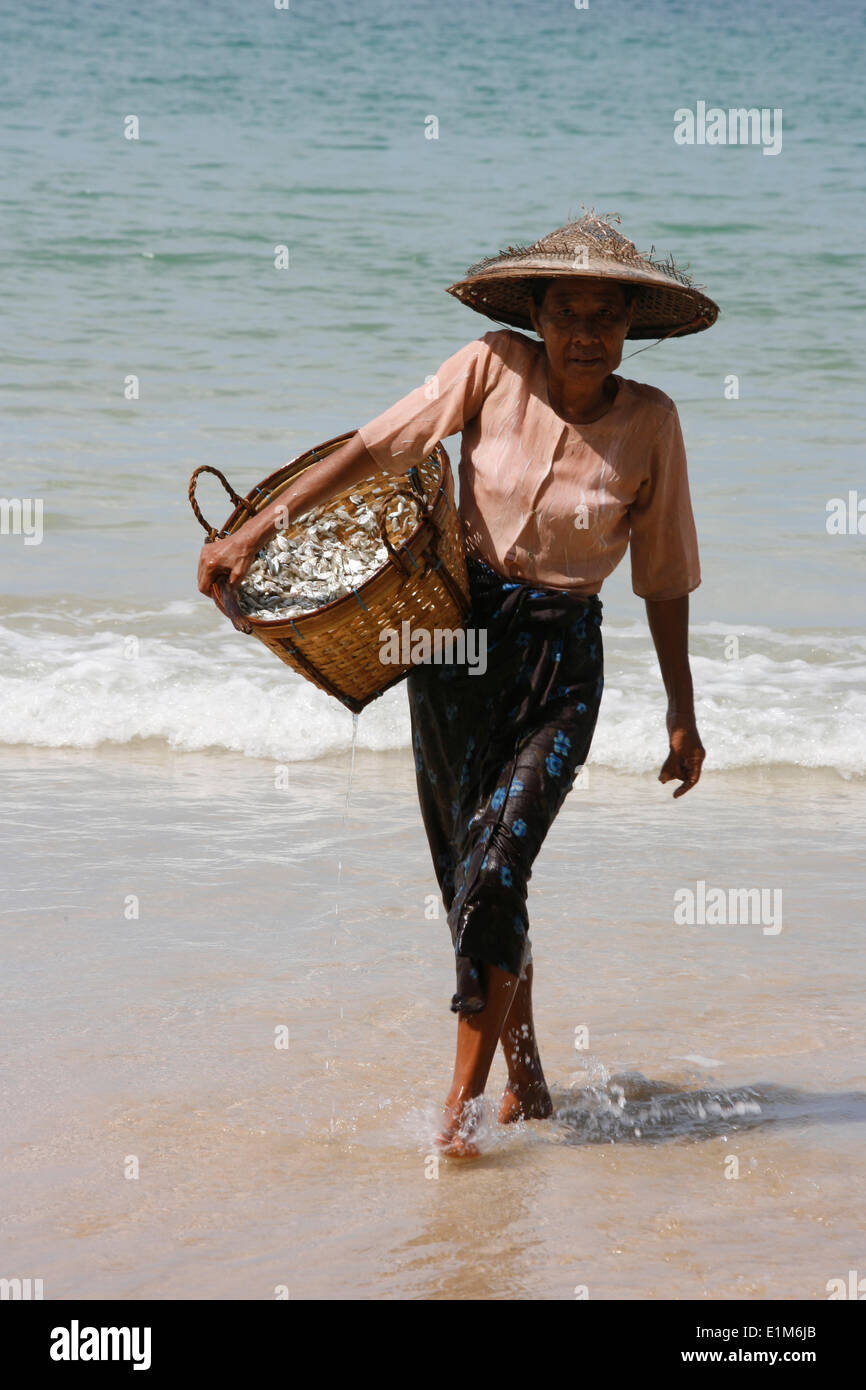 Fish carrying fish hi-res stock photography and images - Alamy